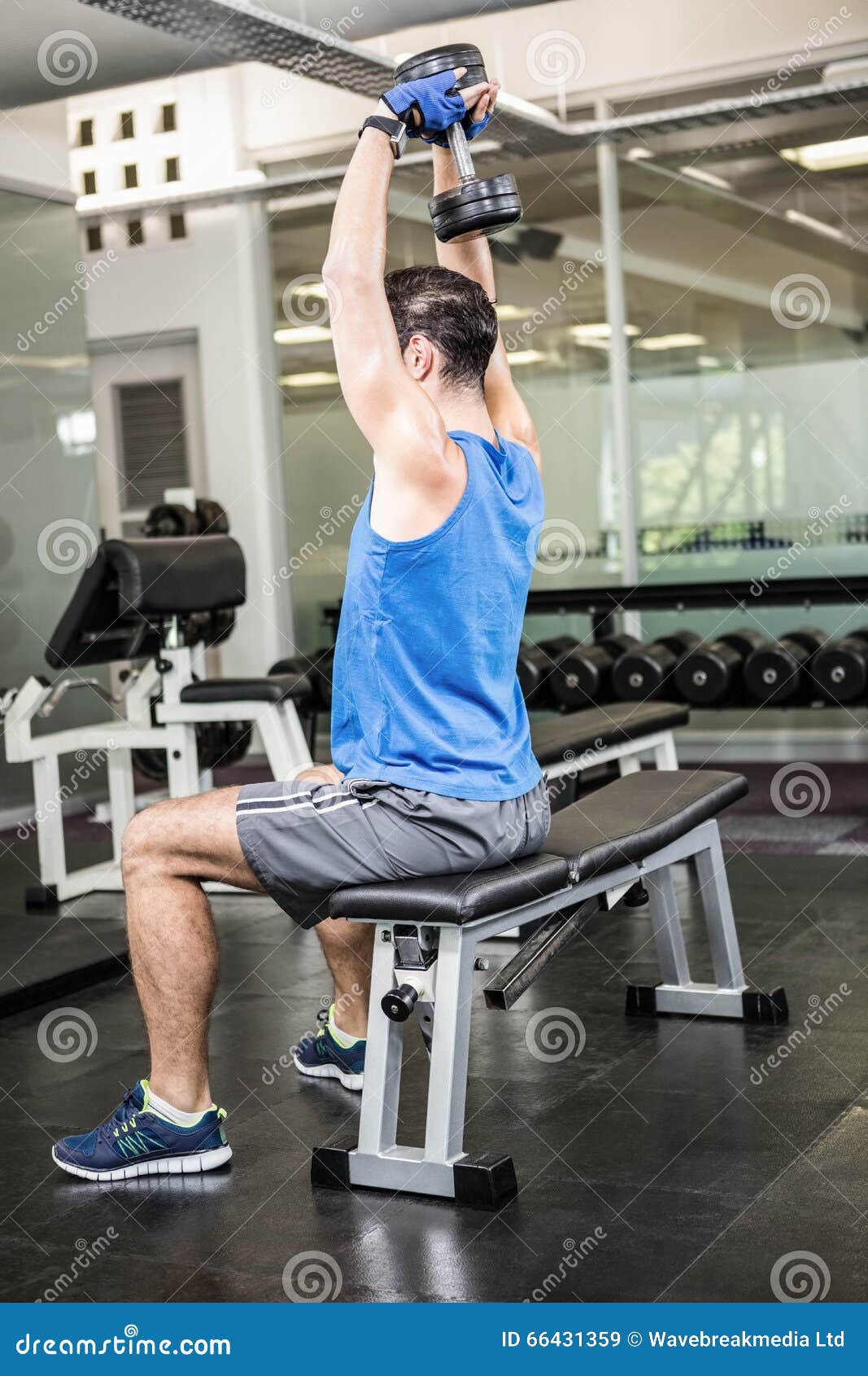 Muscular Man Lifting Dumbbell while Sitting on Bench Stock Image ...