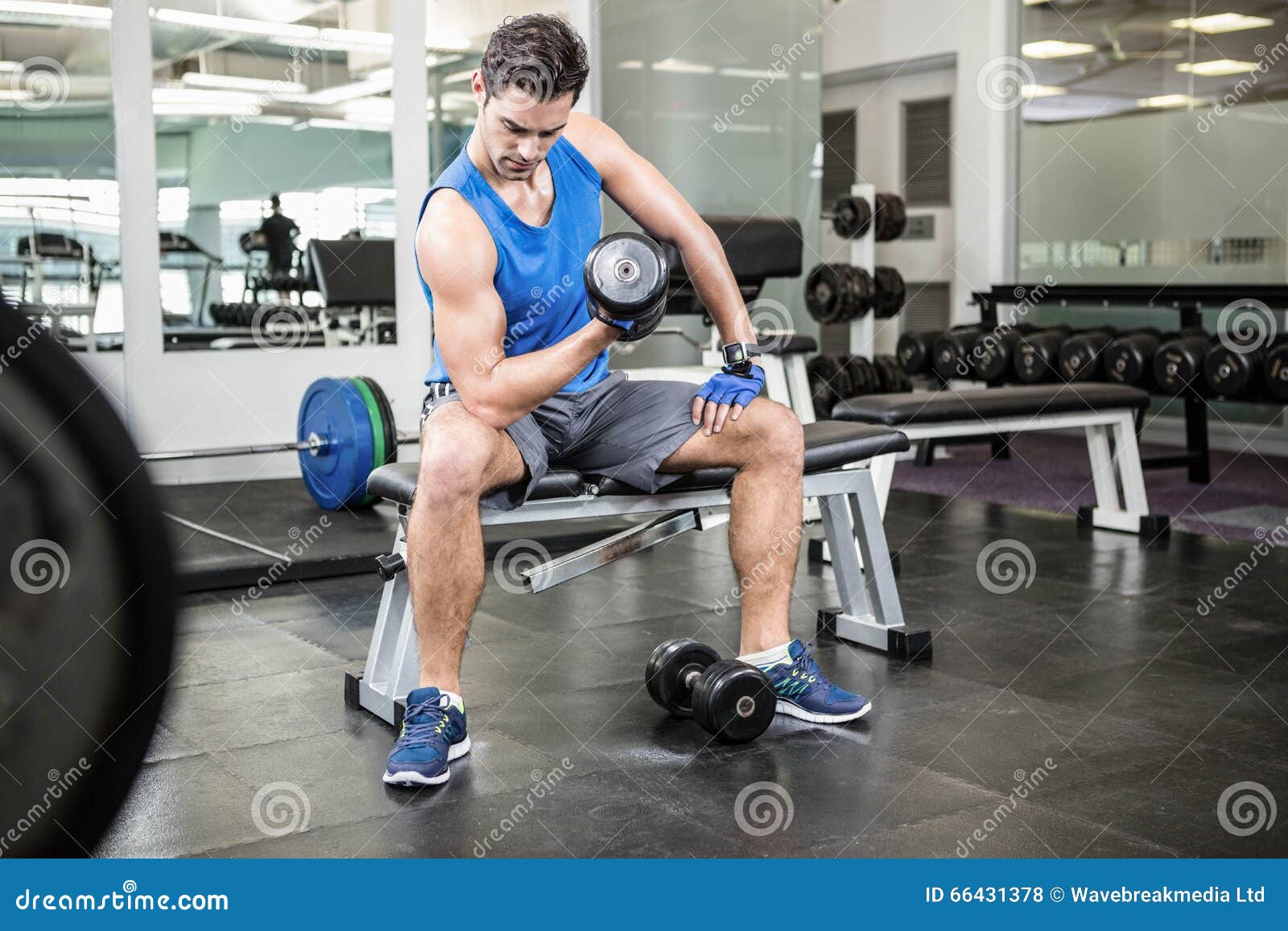 Muscular Man Lifting Dumbbell while Sitting on Bench Stock Photo ...