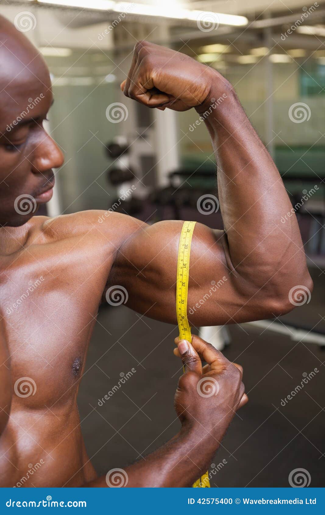 Muscular Man Measuring Biceps in Gym Stock Photo - Image of athlete ...