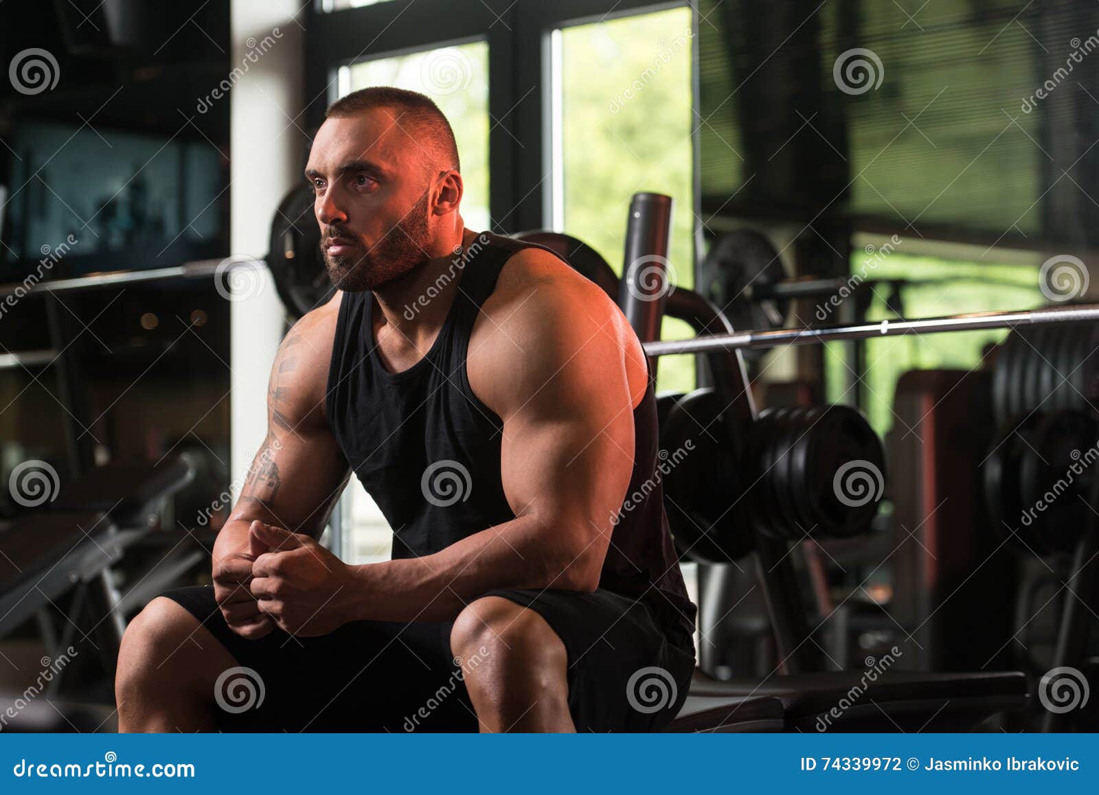 Muscular Man Resting on the Bench Stock Photo - Image of biceps ...