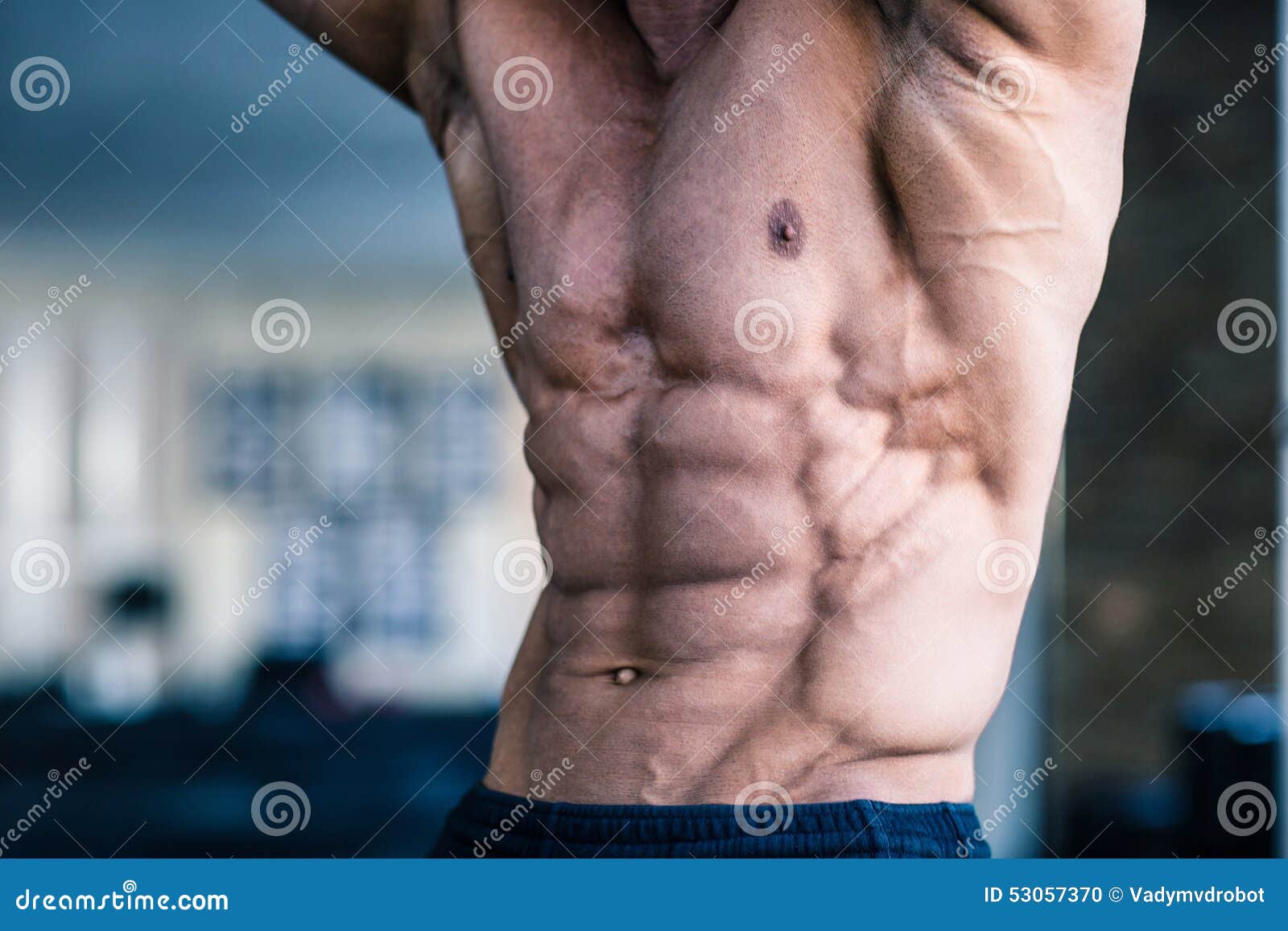 Muscular man s torso stock photo. Image of macho, athletic - 53057370
