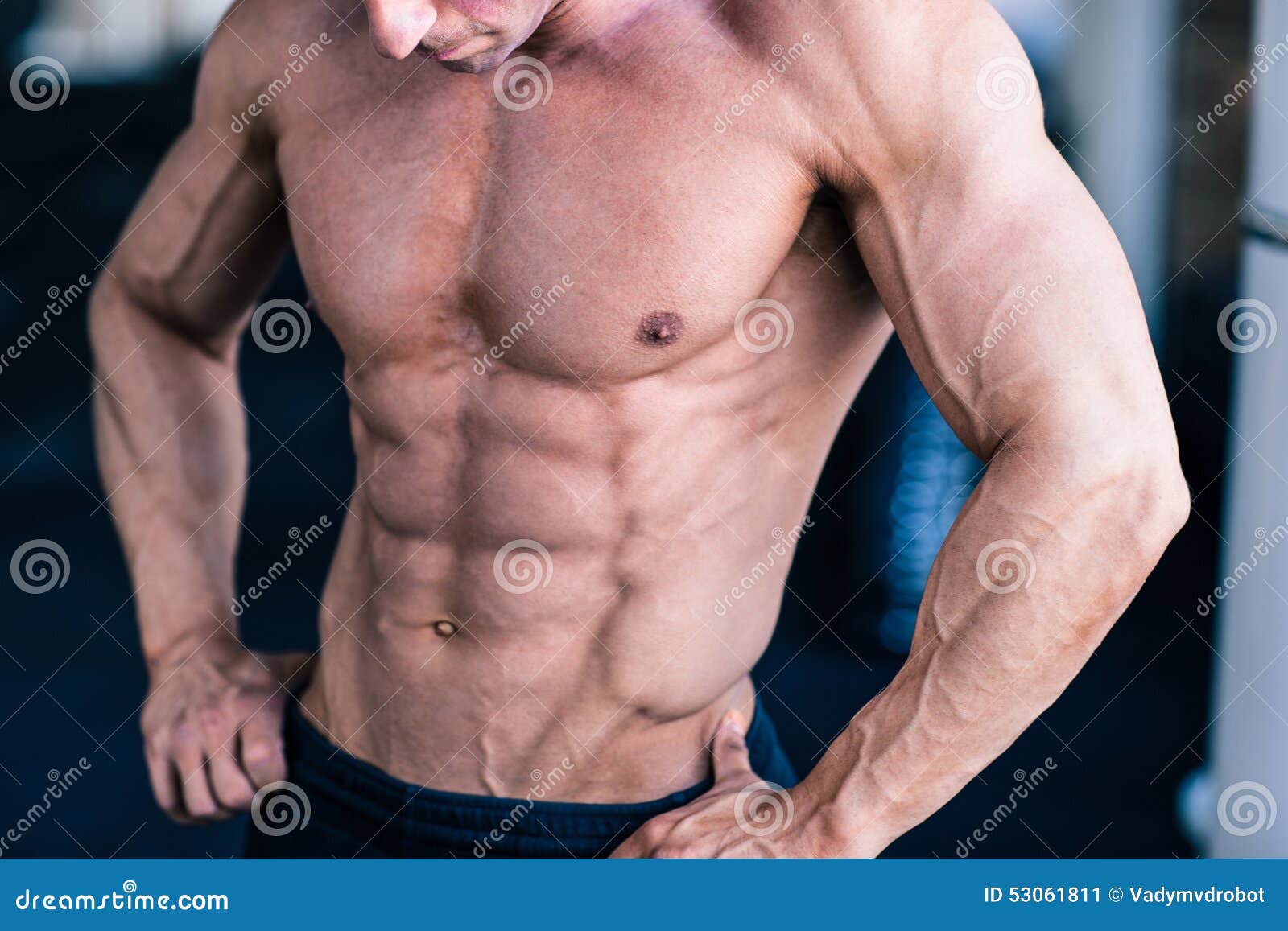 Muscular man s torso stock image. Image of bodybuilding - 53061811