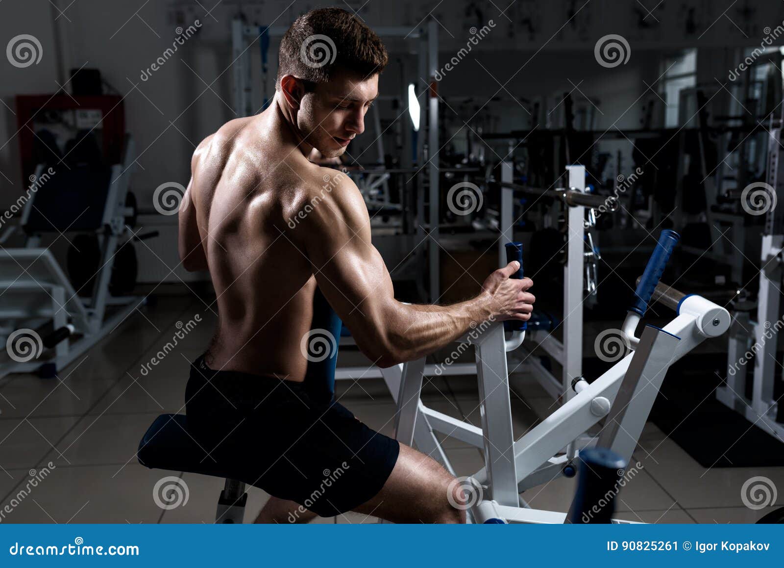 Muscular Man Training in the Gym Stock Image - Image of concentration ...
