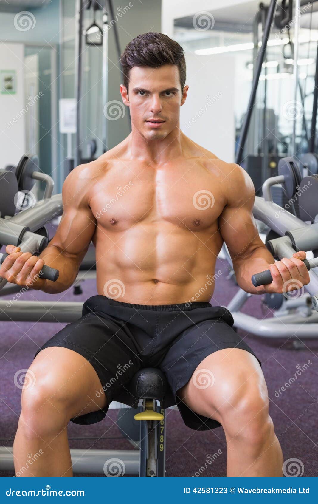 Muscular Man Working on Abdominal Machine at the Gym Stock Image ...