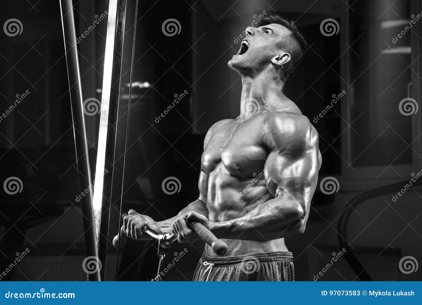 Muscular Man Working Out in Gym Doing Exercise, Strong Male Torso Abs ...
