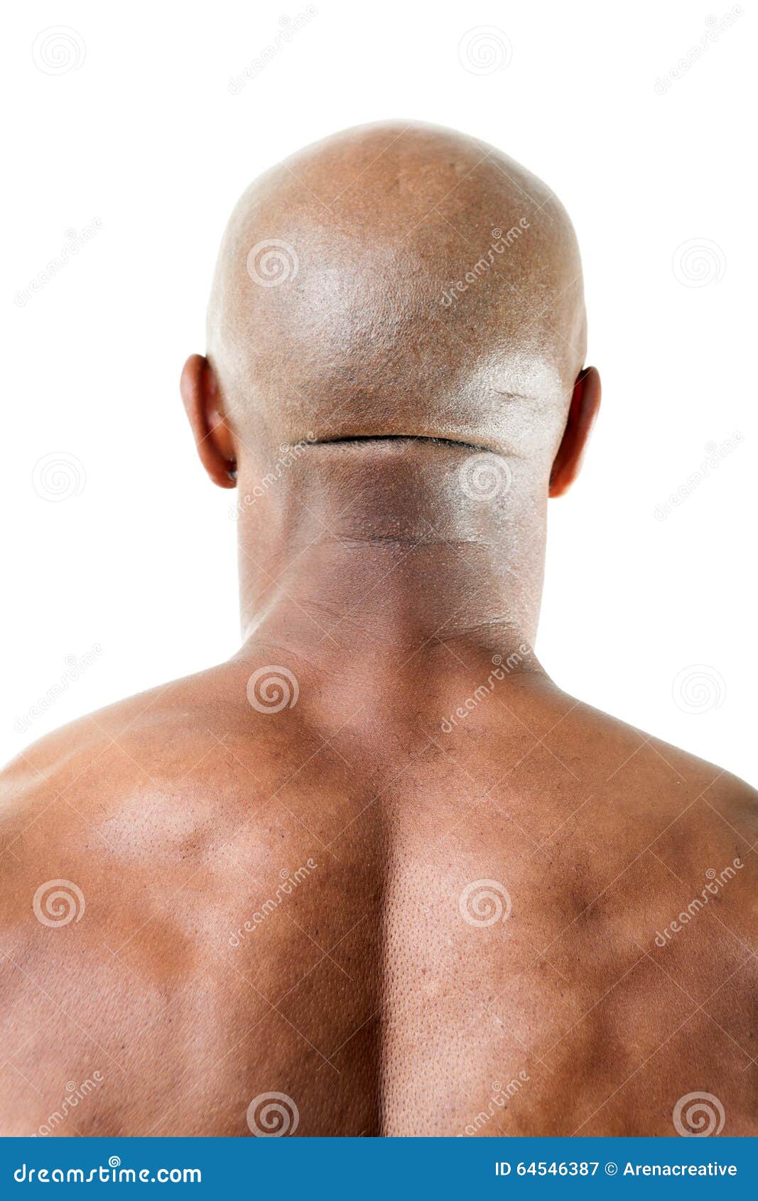 Muscular Mans Back Head Stock Photos - Free & Royalty-Free Stock Photos ...