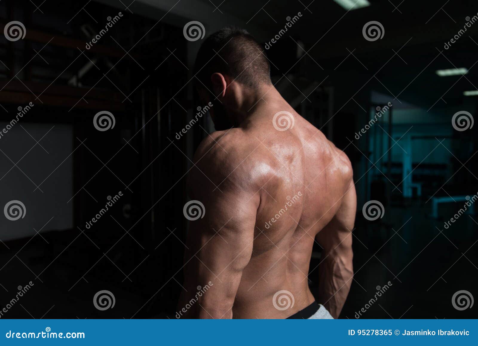 Muscular Model Doing Heavy Weight Exercise for Trapezius Stock Image ...