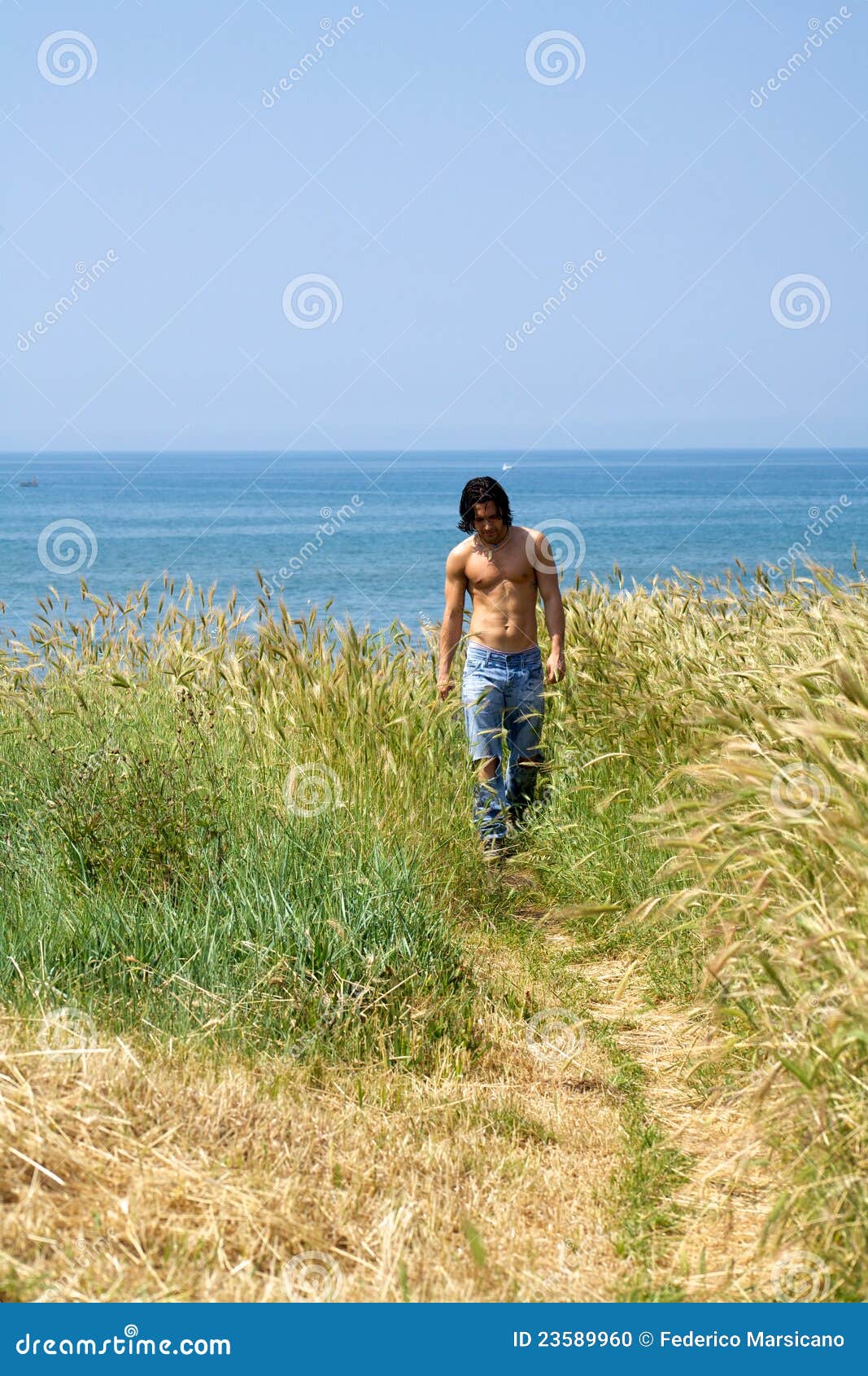 Muscular Model Walking in a Corn Field Stock Photo - Image of muscle ...