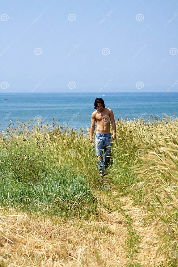 Muscular Model Walking in a Corn Field Stock Photo - Image of muscle ...