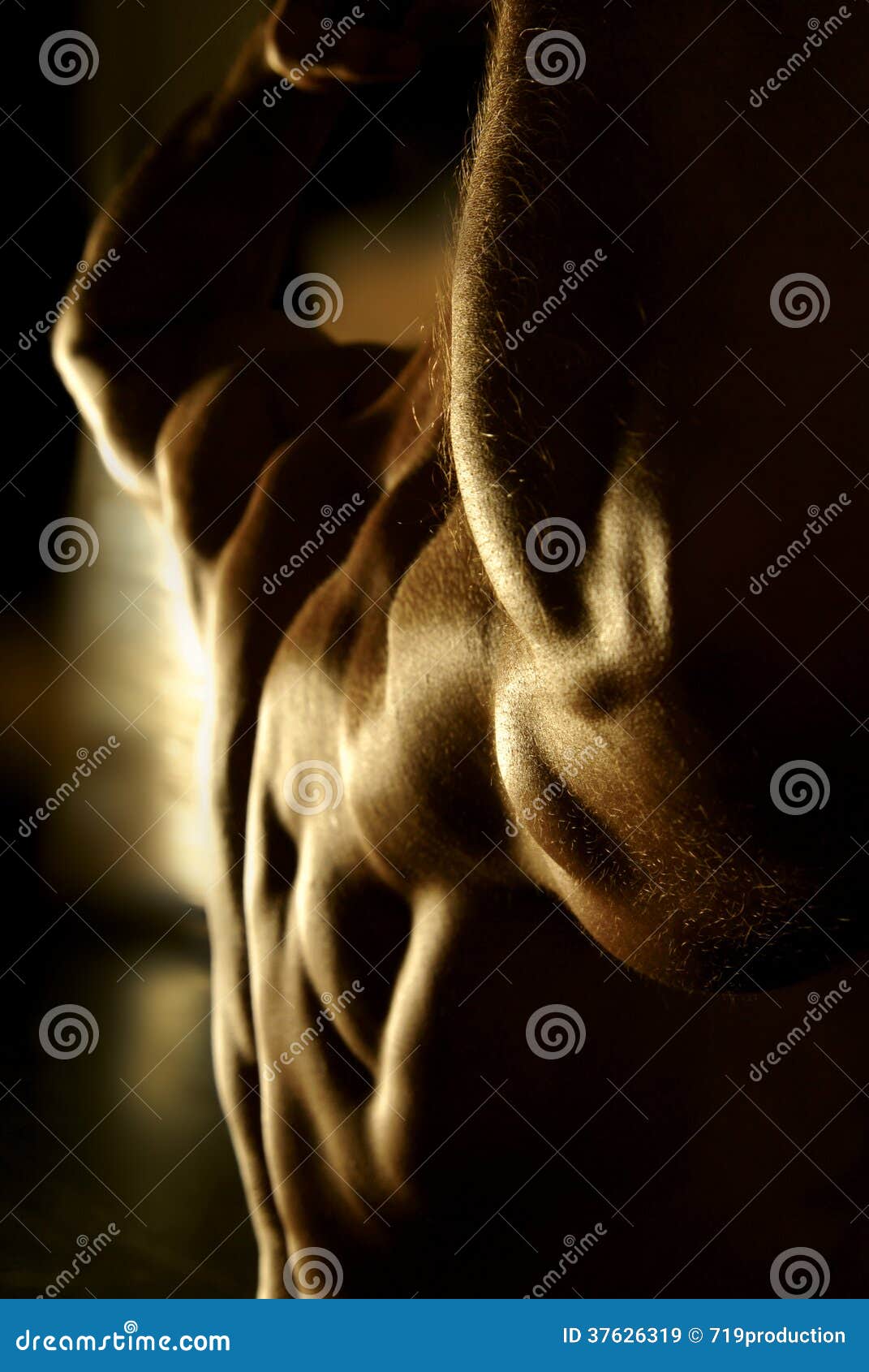 Muscular Shoulders and Back. Stock Image - Image of workout, black ...