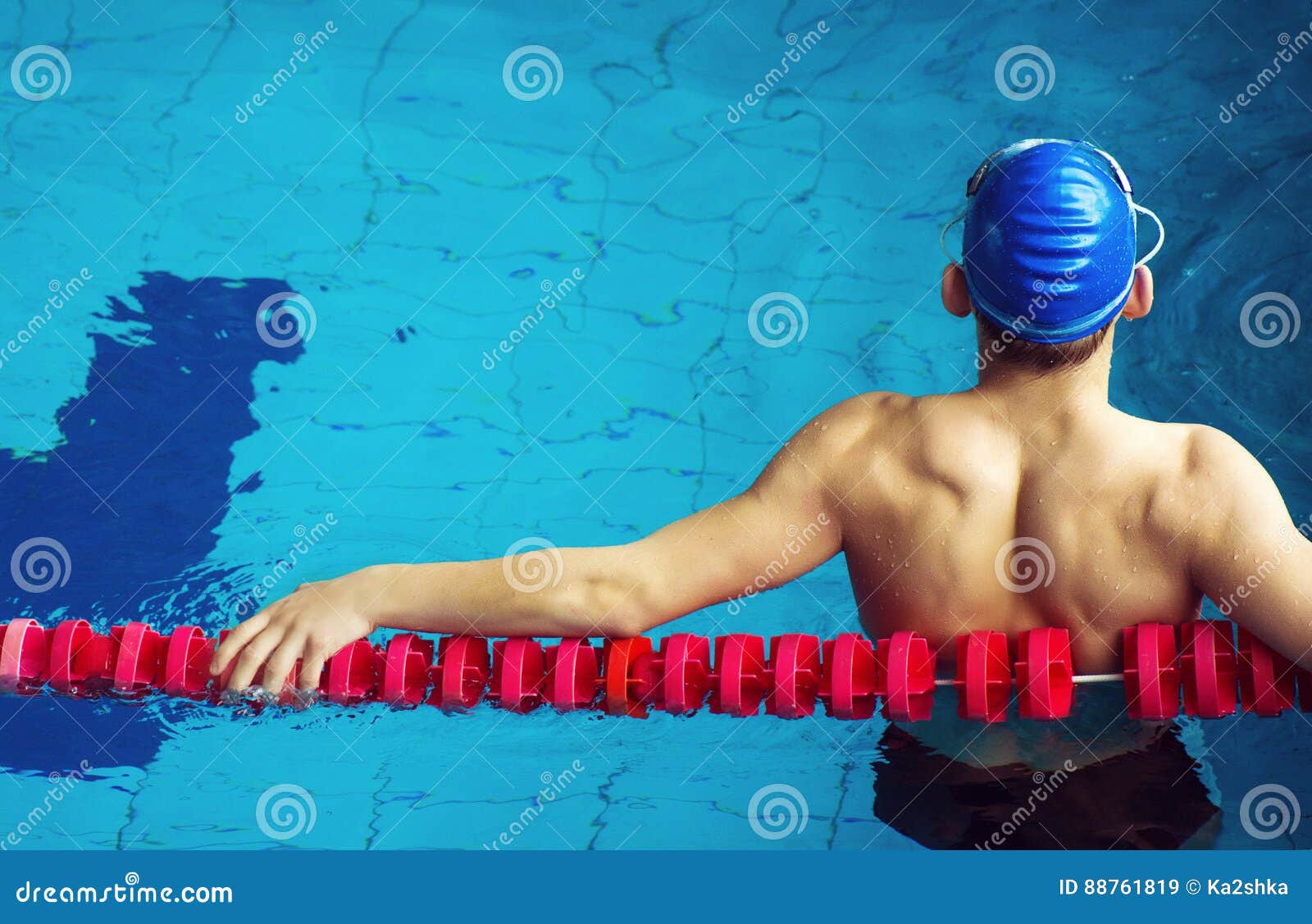 Muscular Swimmer in a Swimming Pool Stock Image - Image of professional ...