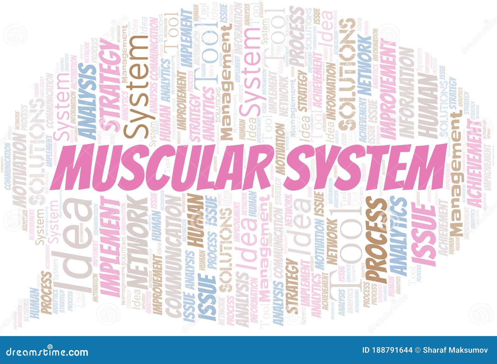 Muscular System Typography Vector Word Cloud. Stock Vector ...