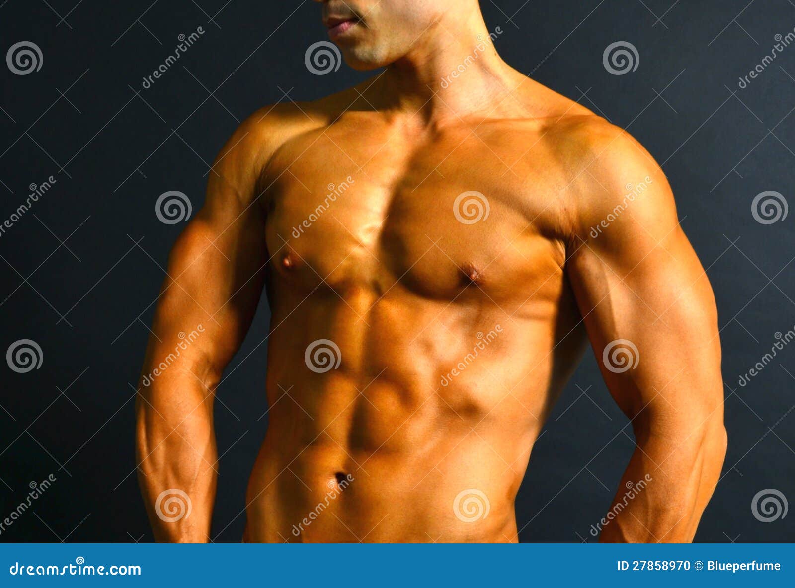 Muscular Torso stock photo. Image of fashion, exercising - 27858970