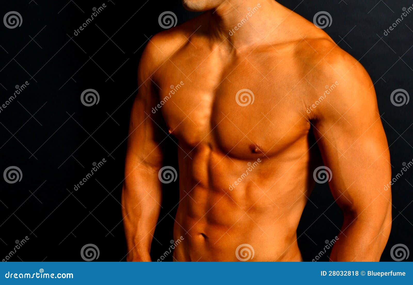Muscular Torso stock photo. Image of macho, black, jock - 28032818
