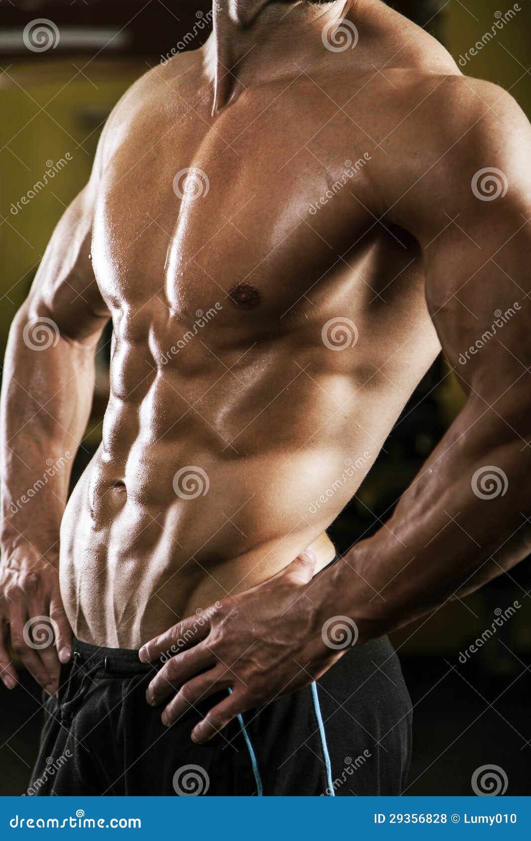 Muscular torso stock photo. Image of build, contrast - 29356828