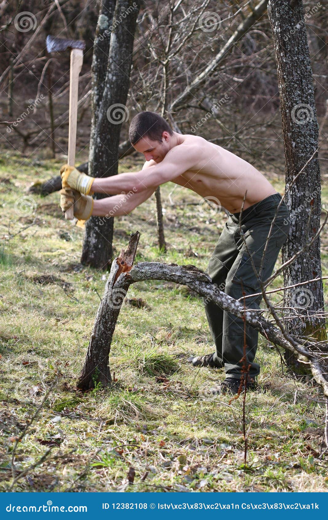 Muscular woodcutter stock photo. Image of natural, muscular - 12382108