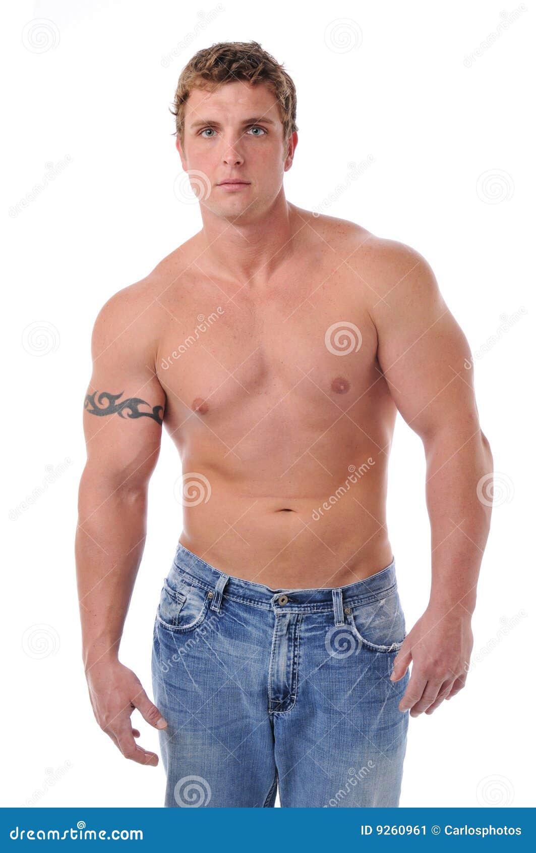 Muscular young man s torso stock image. Image of shirtless - 9260961
