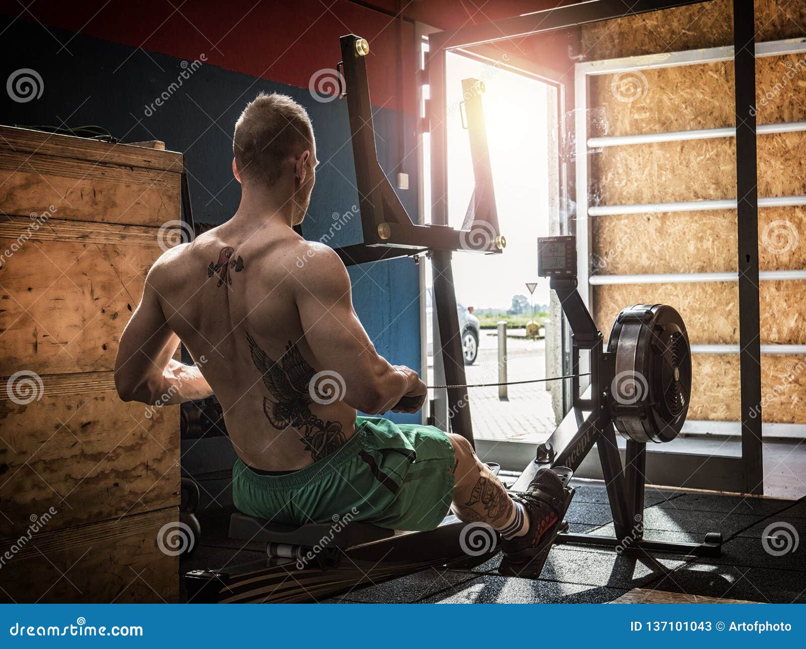 Muscular Young Man, Training Back on Rowing Machine Stock Image - Image ...