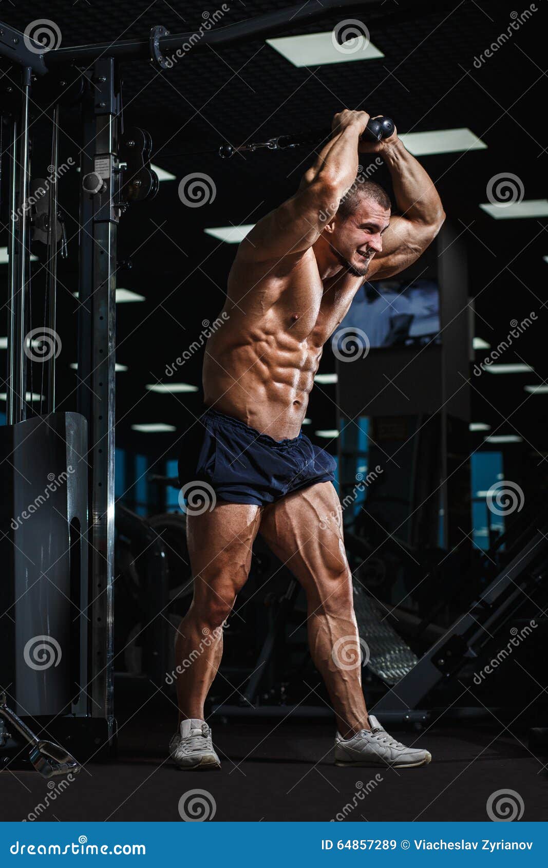 Muscularl Athletic Bodybuilder Doing Triceps Exercises in Gym Stock ...