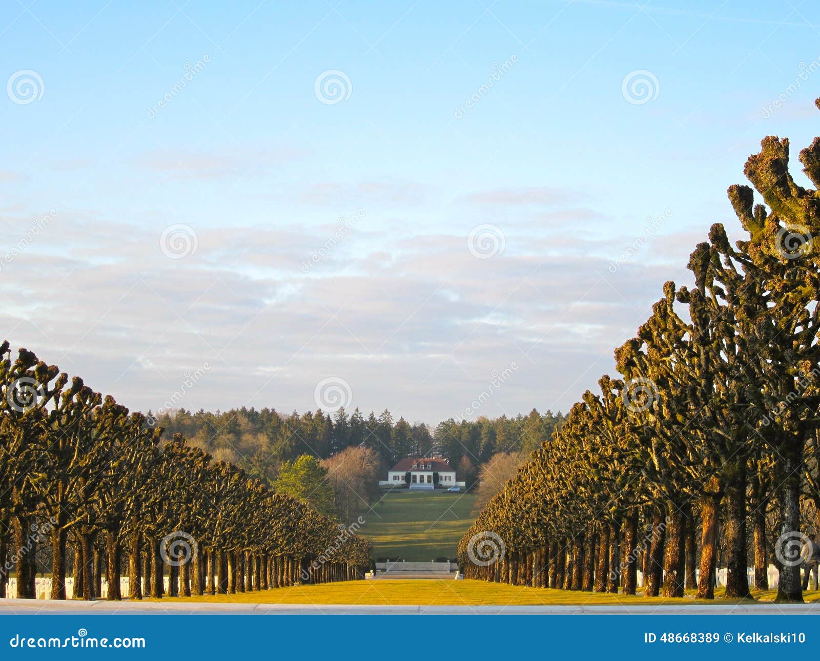 Muse Argonne American Cemetary Stock Image - Image of muse, tree: 48668389