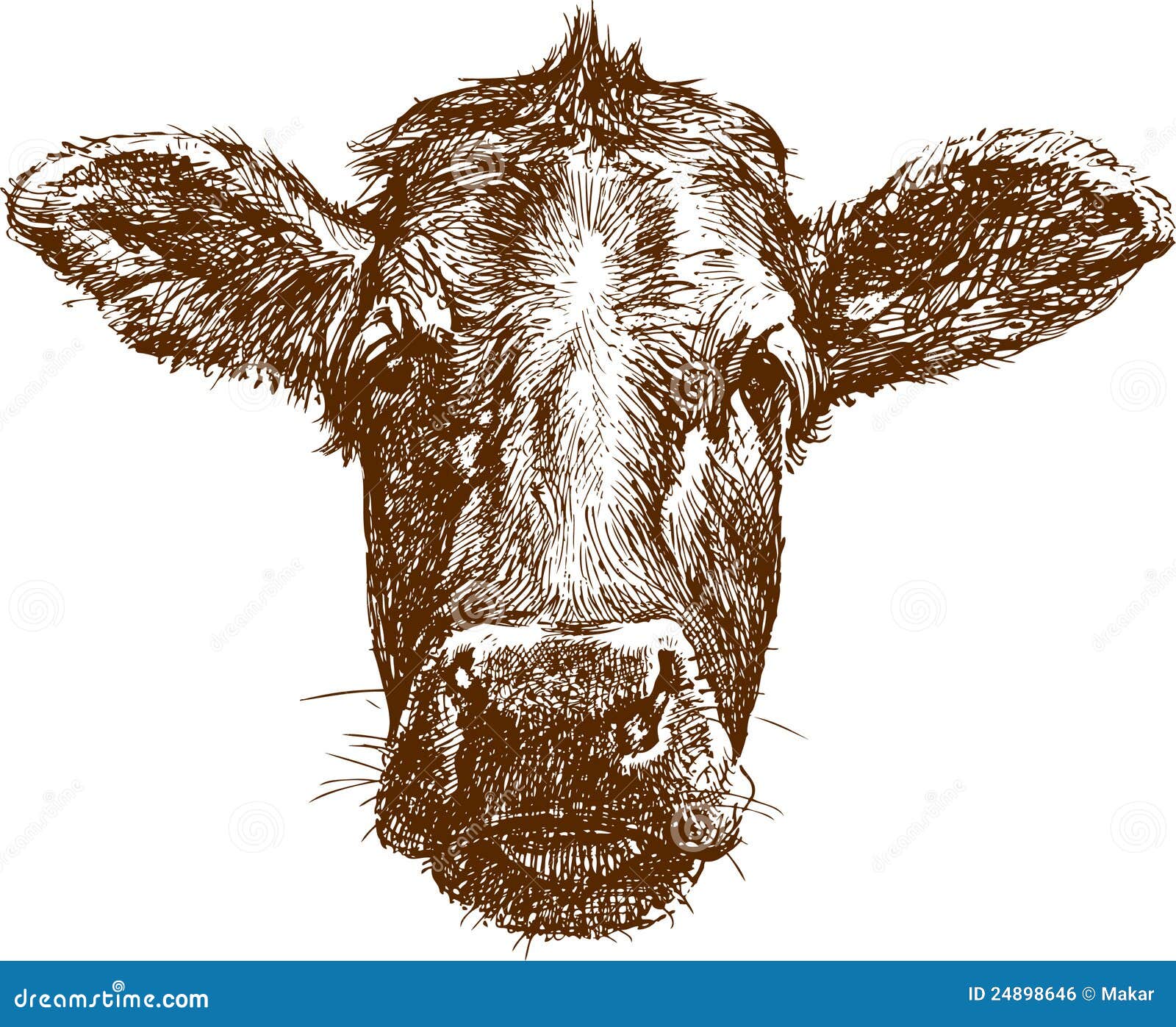 Museau de vache illustration de vecteur. Illustration du vache - 24898646