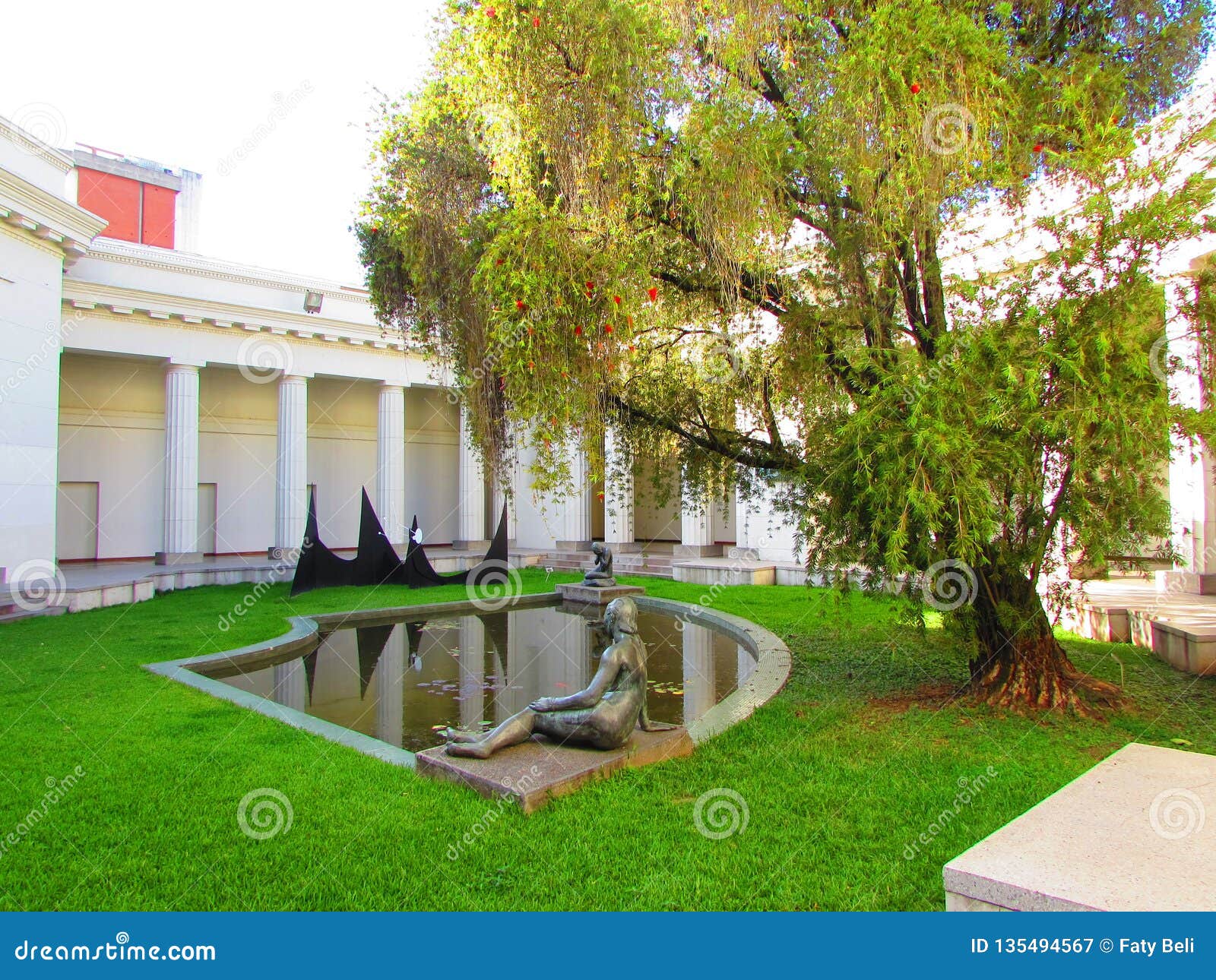 Museo De Bellas Artes Caracas Fotografía editorial - Imagen de capital ...