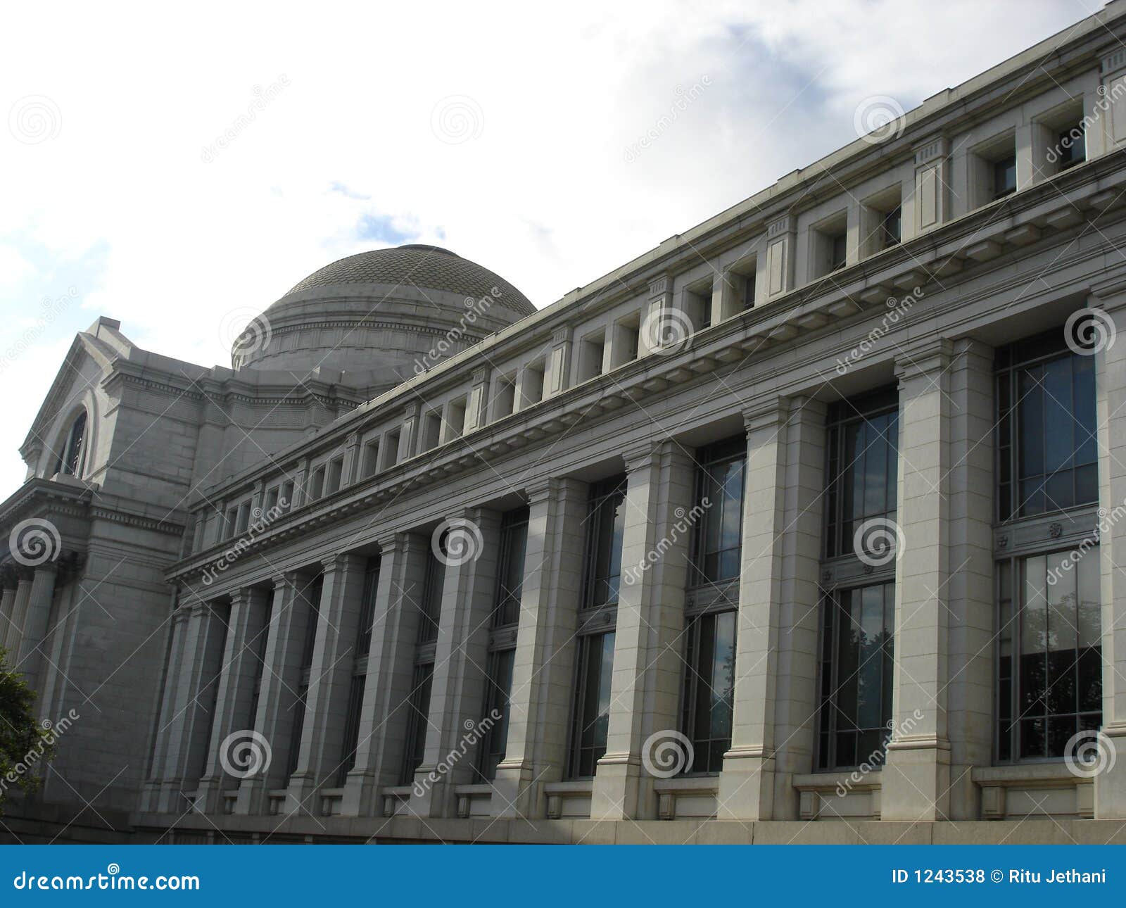 Museo De Smithsonian De La Historia Natural Foto de archivo - Imagen de ...