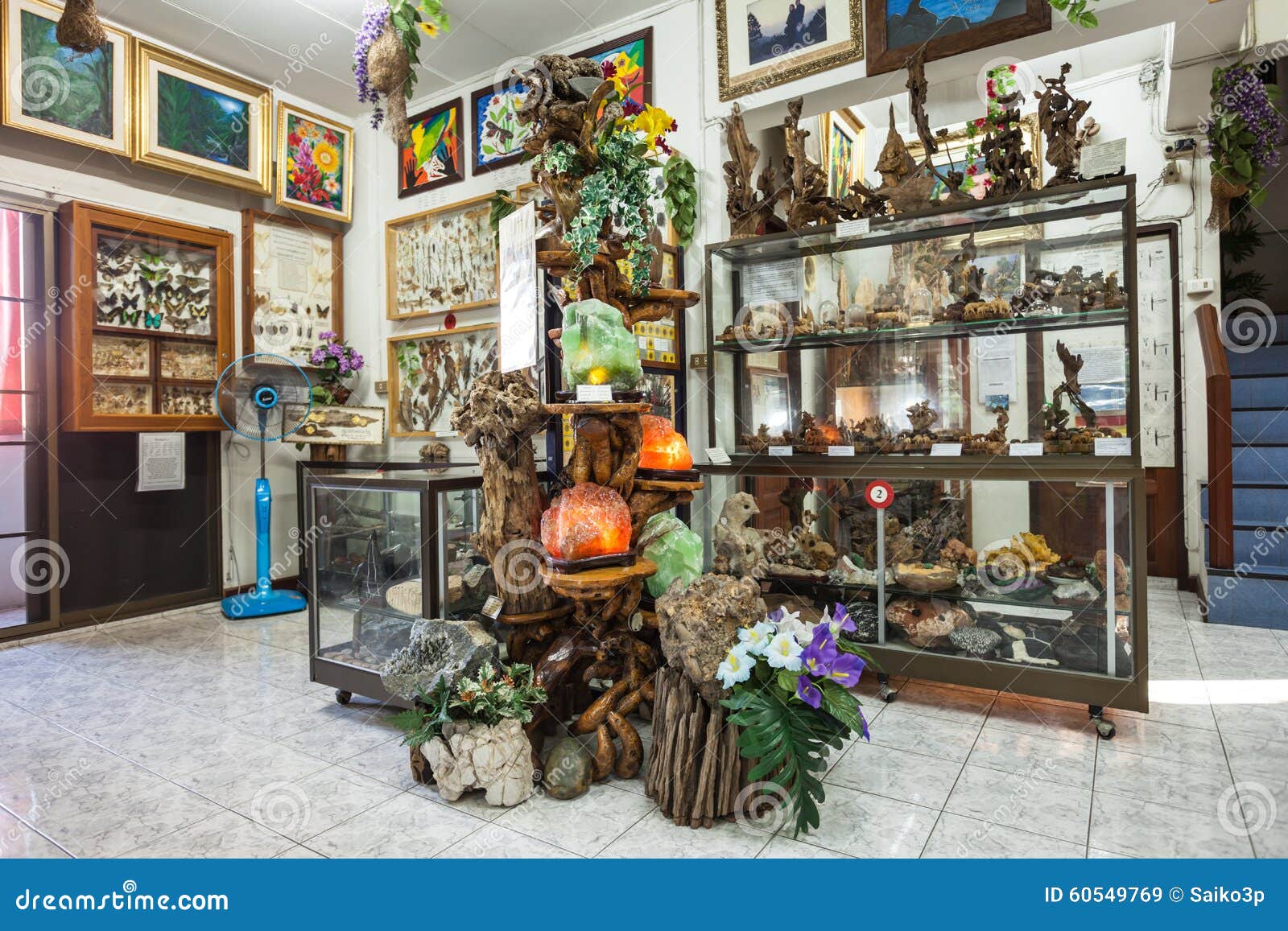 Museo Del Insecto Del Mundo Imagen de archivo editorial - Imagen de ...