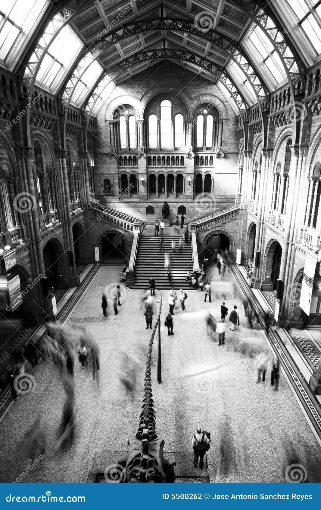 Museum in dark editorial photography. Image of history - 5500262