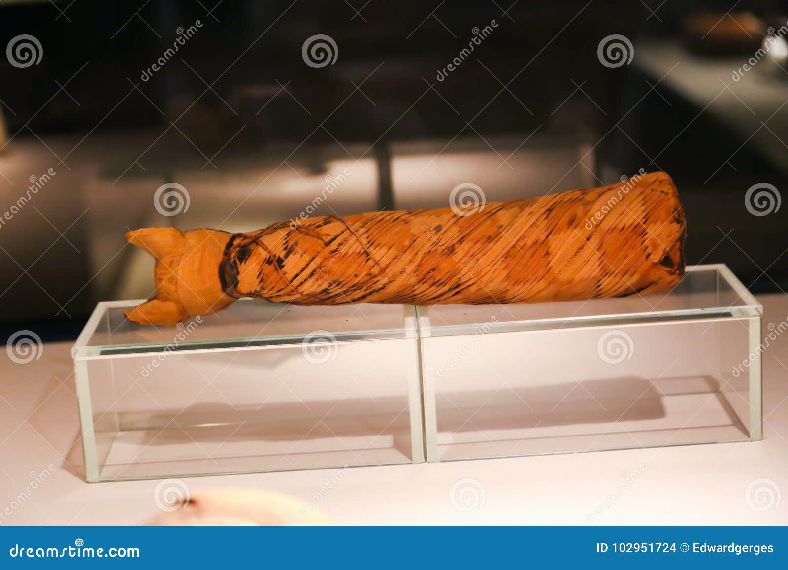 Museum of Embalming at Luxor, Egypt Editorial Stock Image - Image of ...