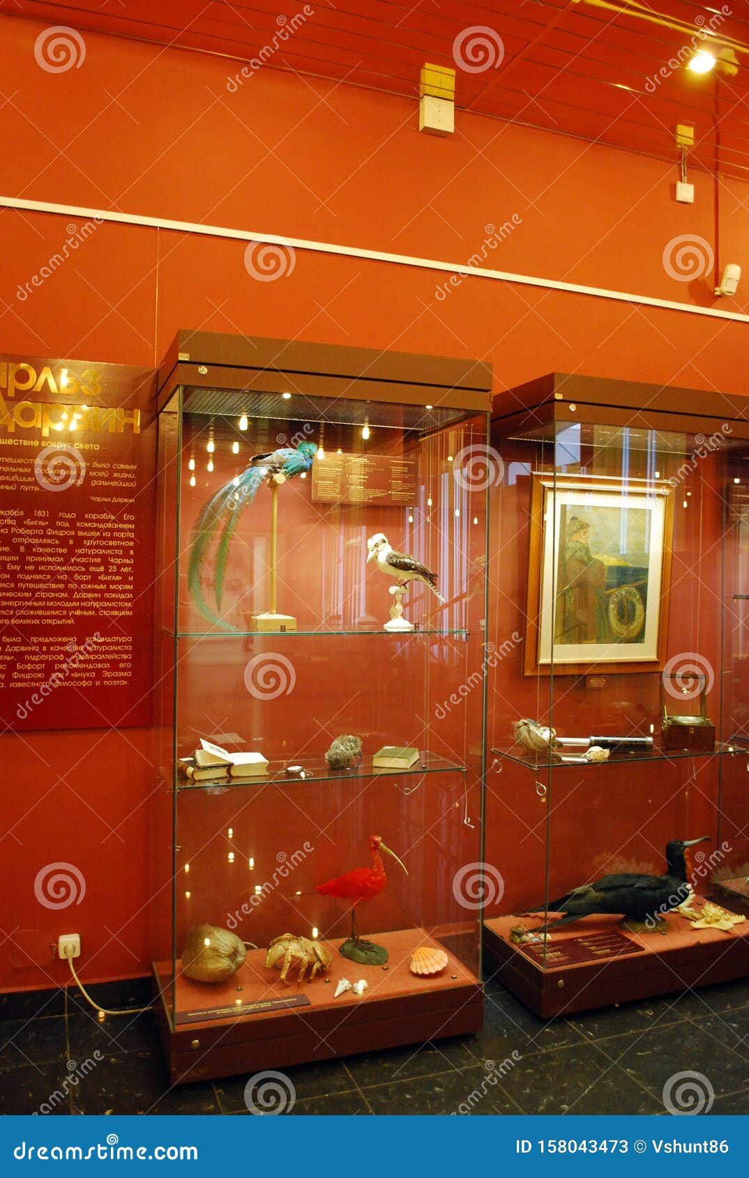 Museum Exhibits Behind Glass Windows. Museum Interior Editorial Stock ...