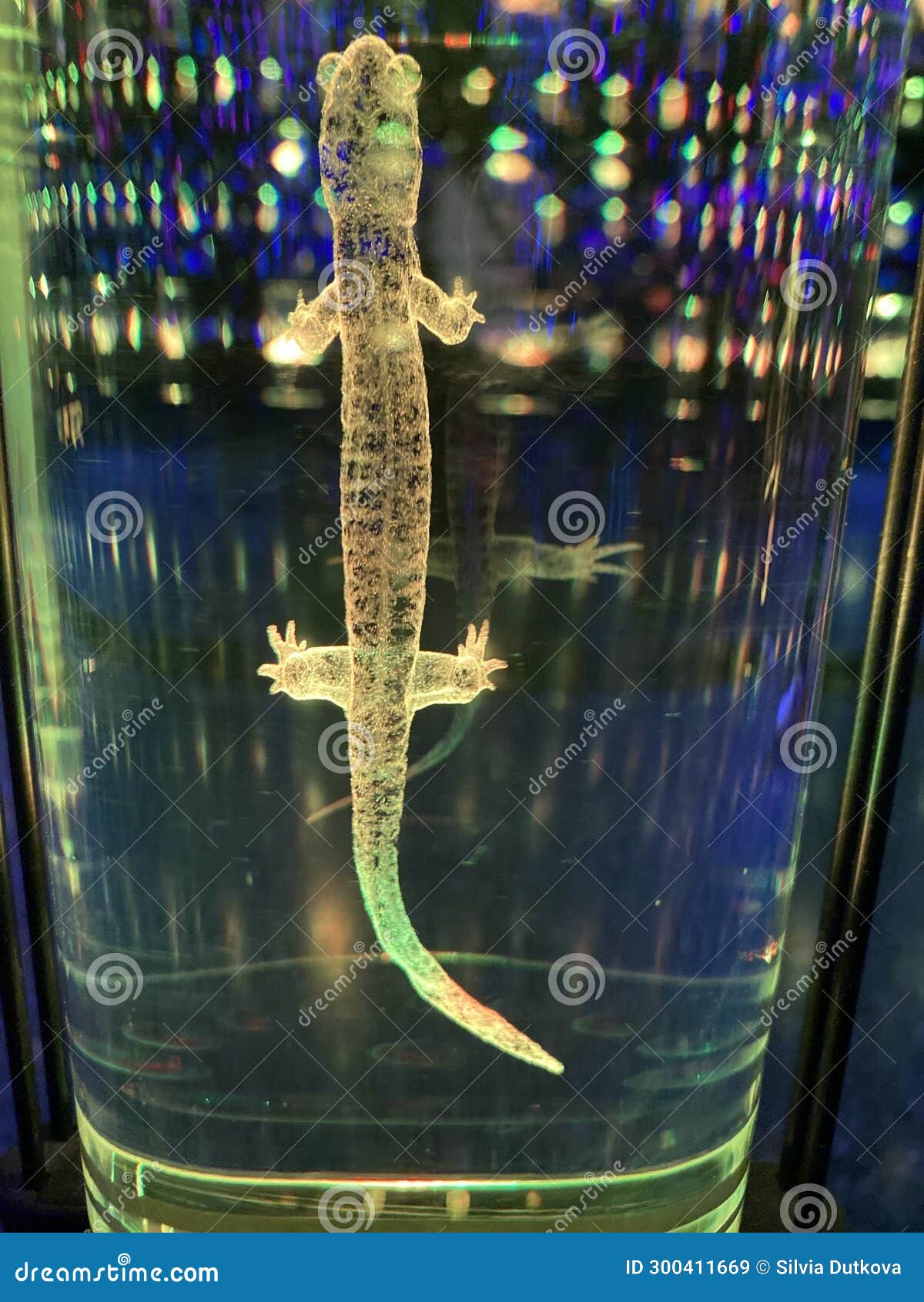 Museum of the Future, Laboratory Section, Dubai Stock Image - Image of ...