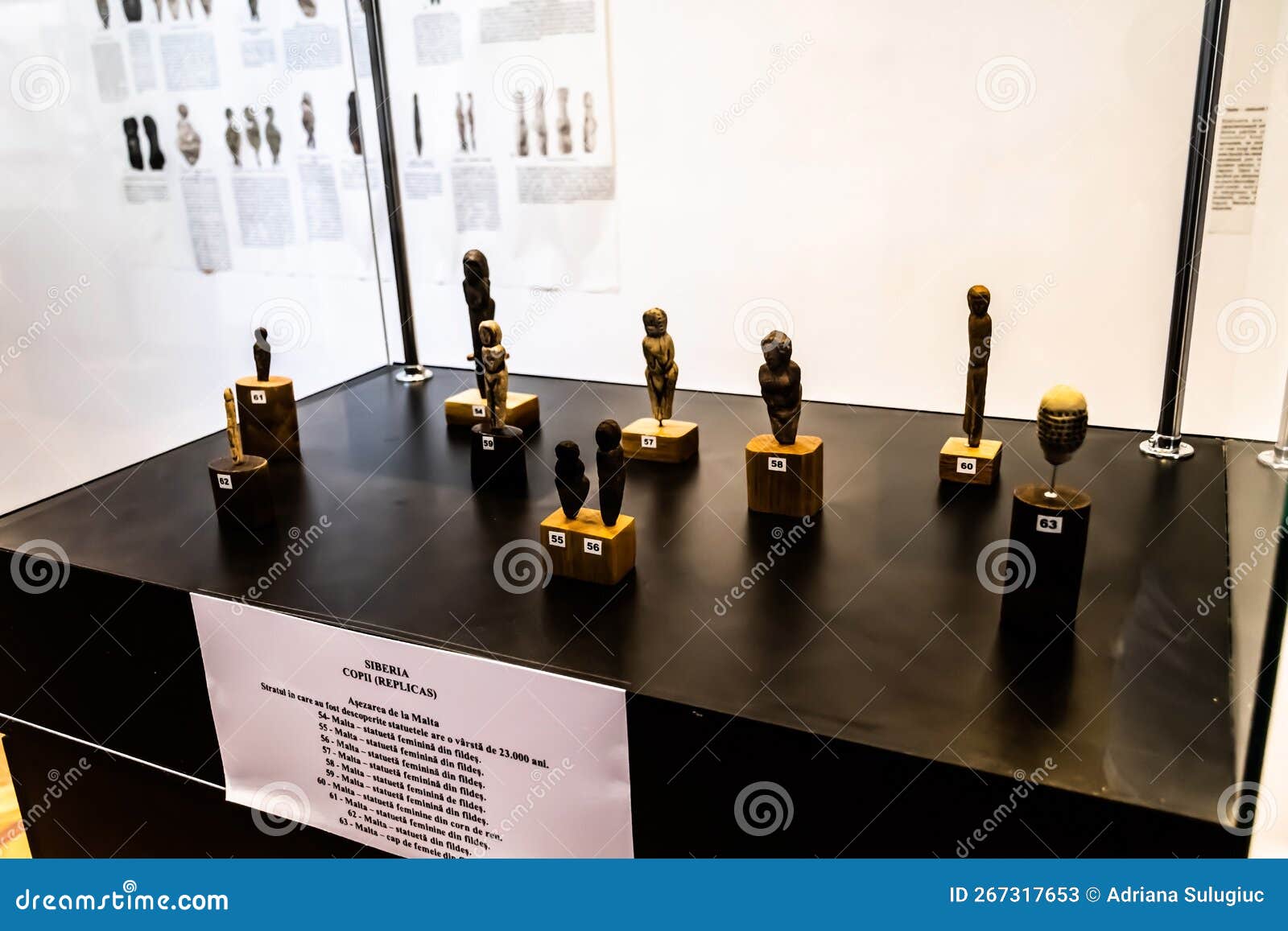 Museum of Human Evolution and Technology in the Paleolithic Editorial ...