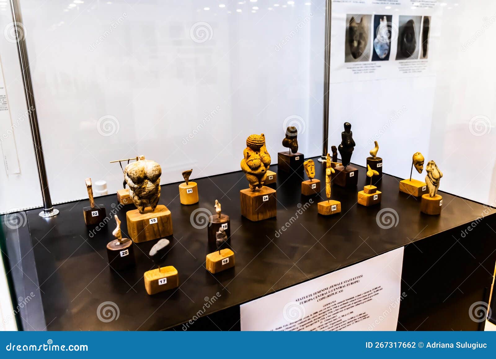 Museum of Human Evolution and Technology in the Paleolithic Editorial ...