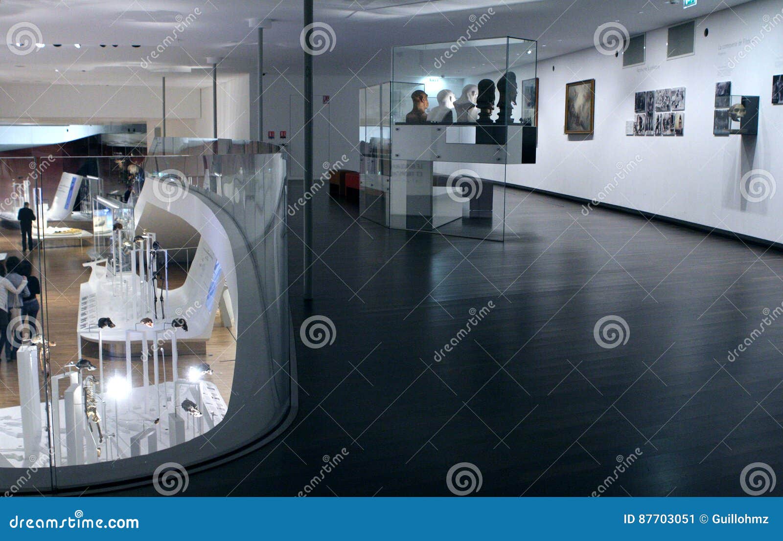 Museum of Human Paris editorial photo. Image of eiffel - 87703051