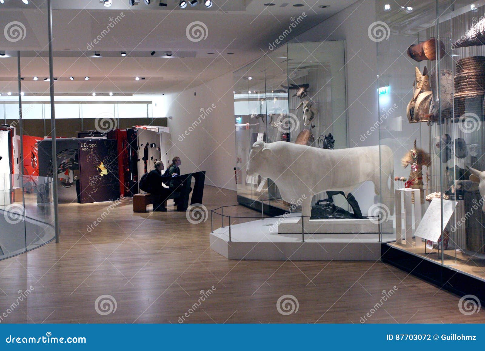 Museum of Human Paris editorial photography. Image of museum - 87703072