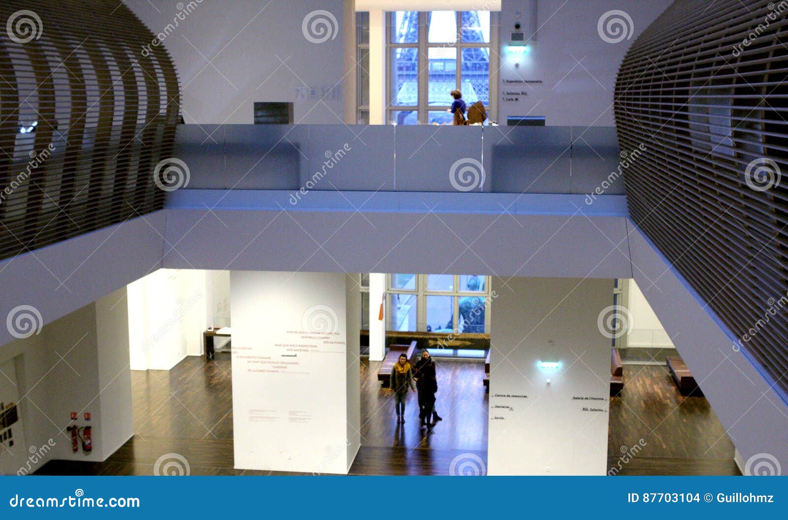 Museum of Human Paris editorial stock image. Image of eiffel - 87703104