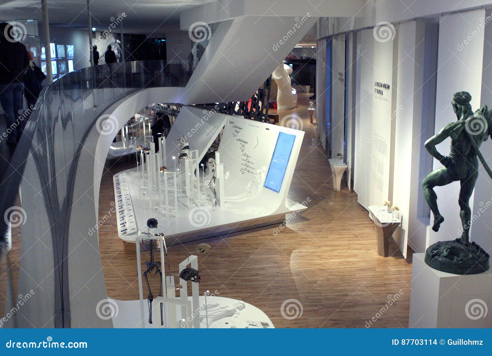 Museum of Human Paris editorial stock image. Image of skull - 87703114