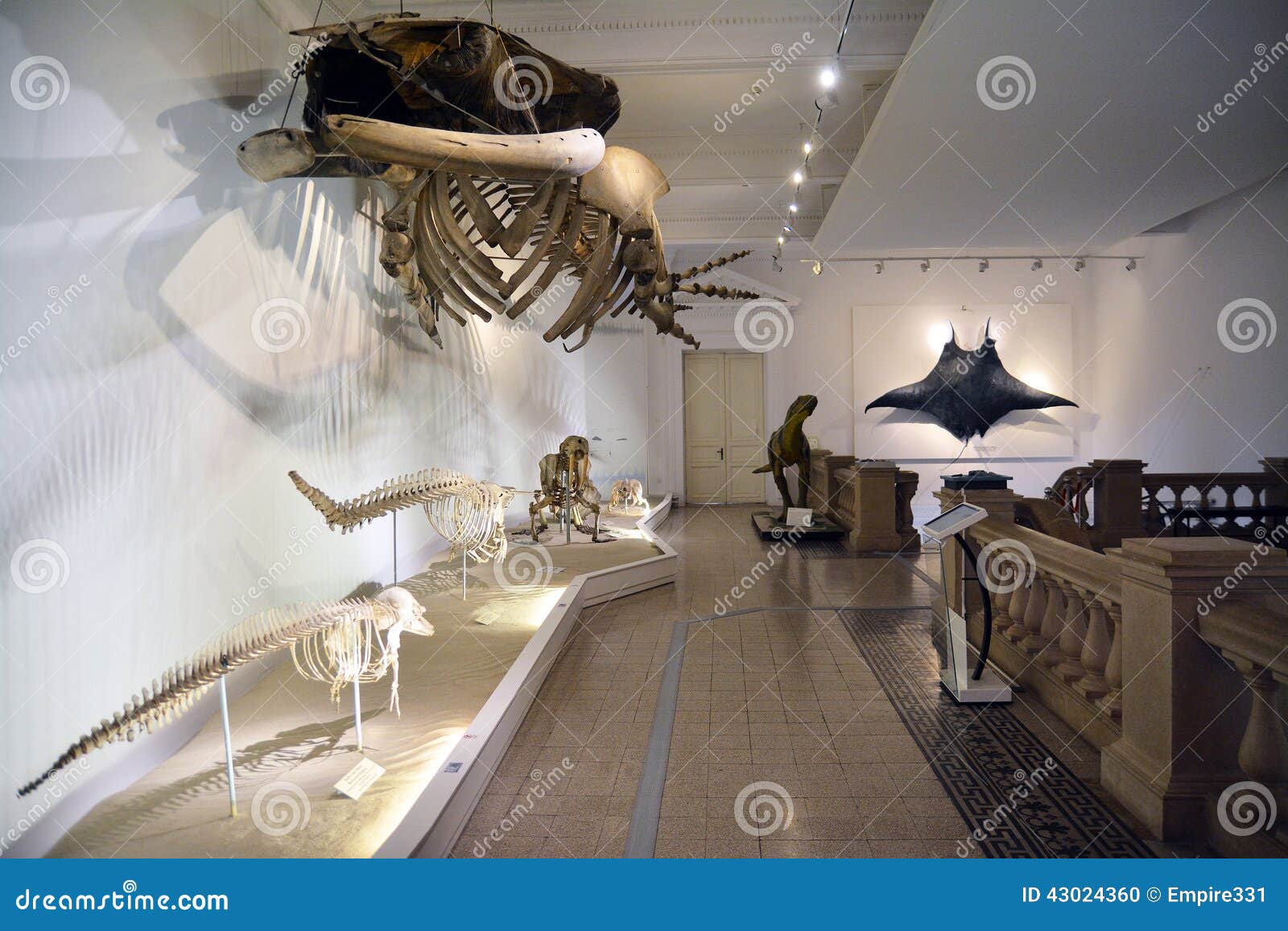 Museum editorial image. Image of science, history, educational - 43024360