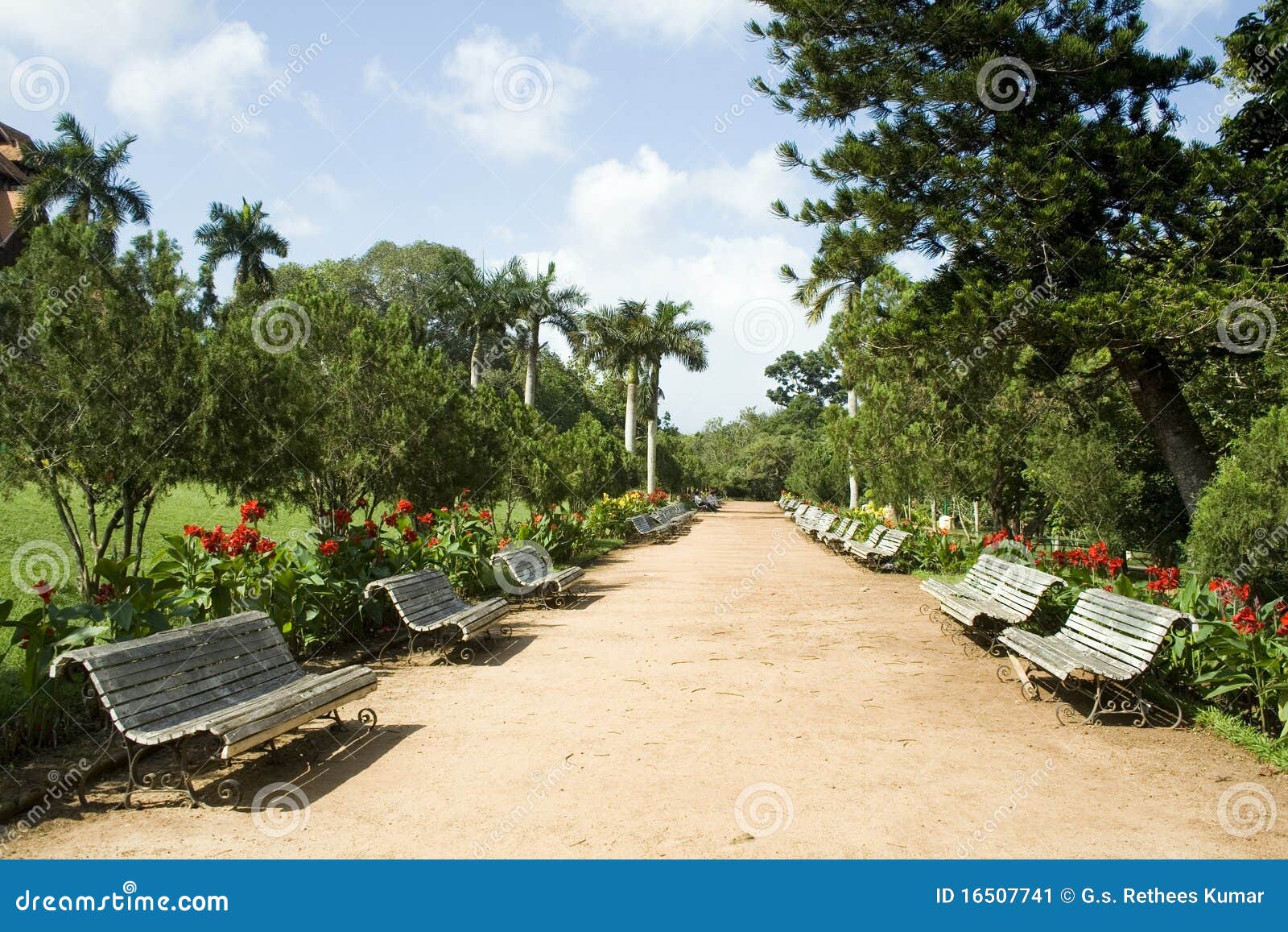 Museum Public Garden, Kerala Stock Image - Image of greenery, plants ...