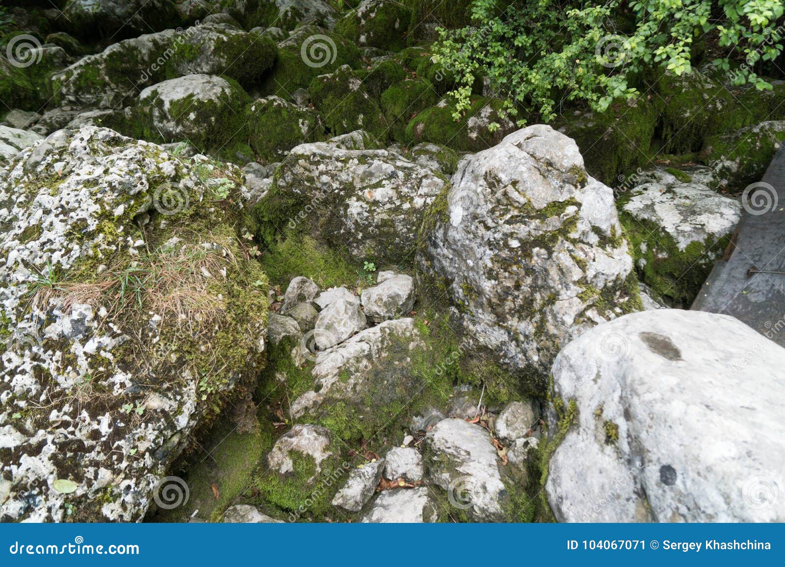 Musgo en la roca imagen de archivo. Imagen de exterior - 104067071