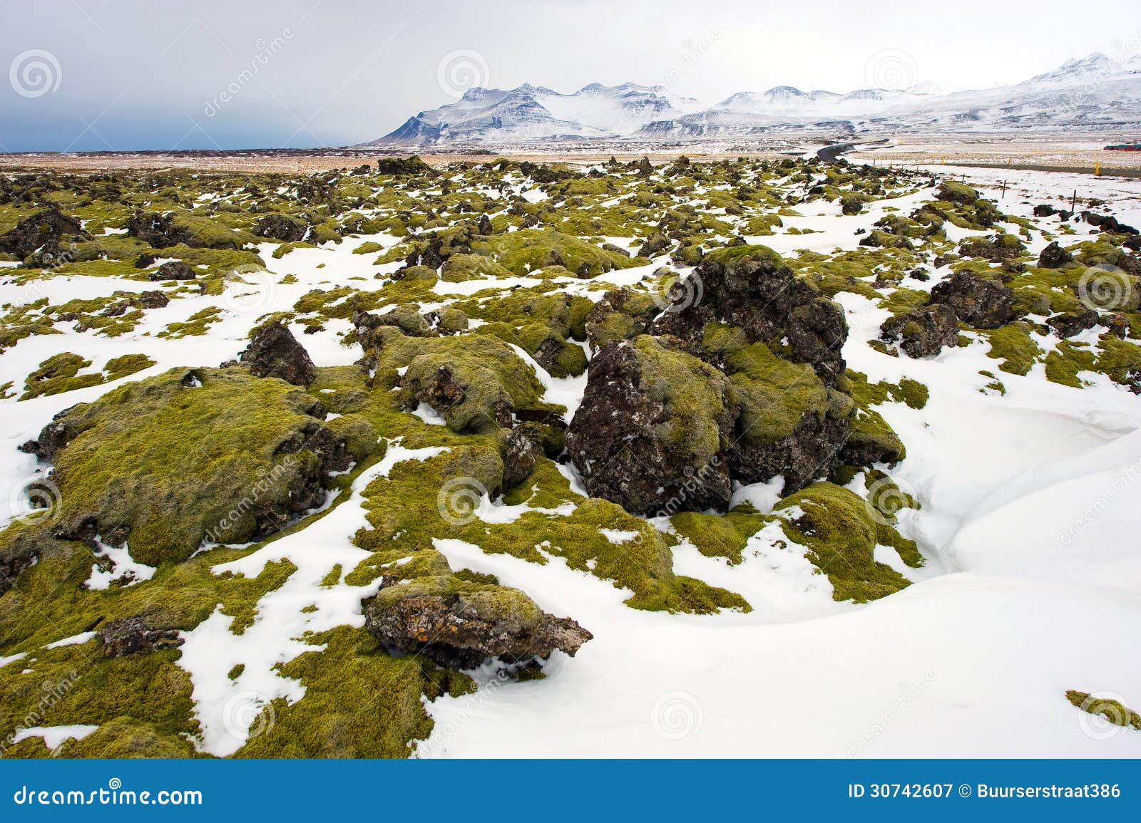 Musgo en rocas imagen de archivo. Imagen de cubo, islandia - 30742607