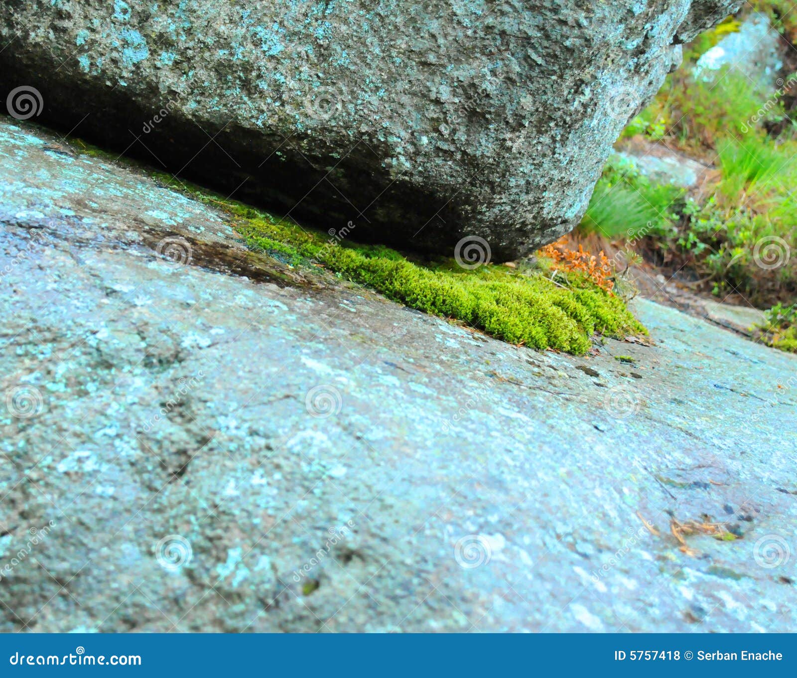 Musgo y roca foto de archivo. Imagen de superficie, roca - 5757418