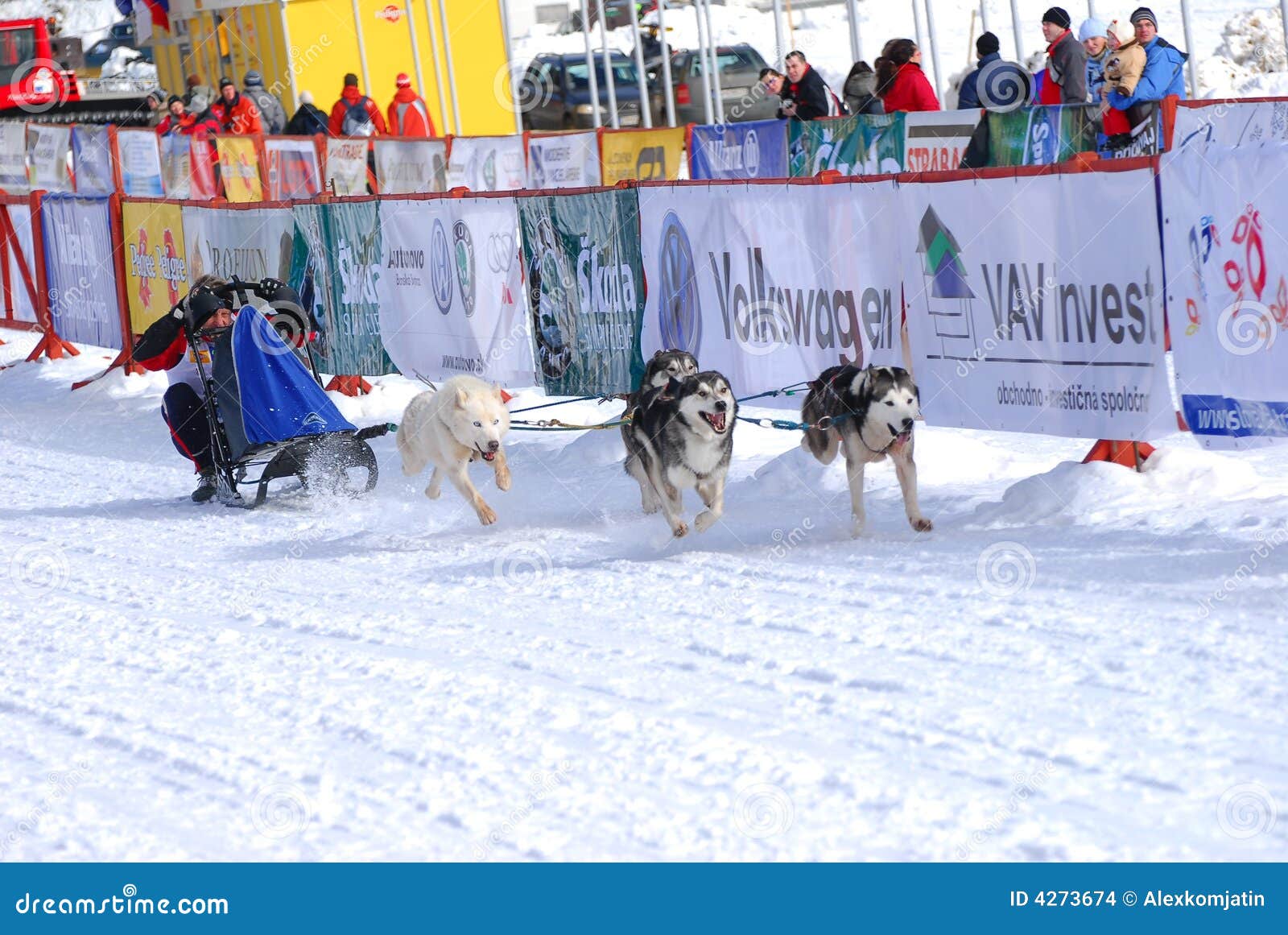 Musher editorial stock image. Image of active, contest - 4273674