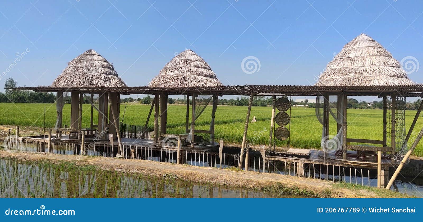 Mushroom arch in the field stock image. Image of reservoir - 206767789