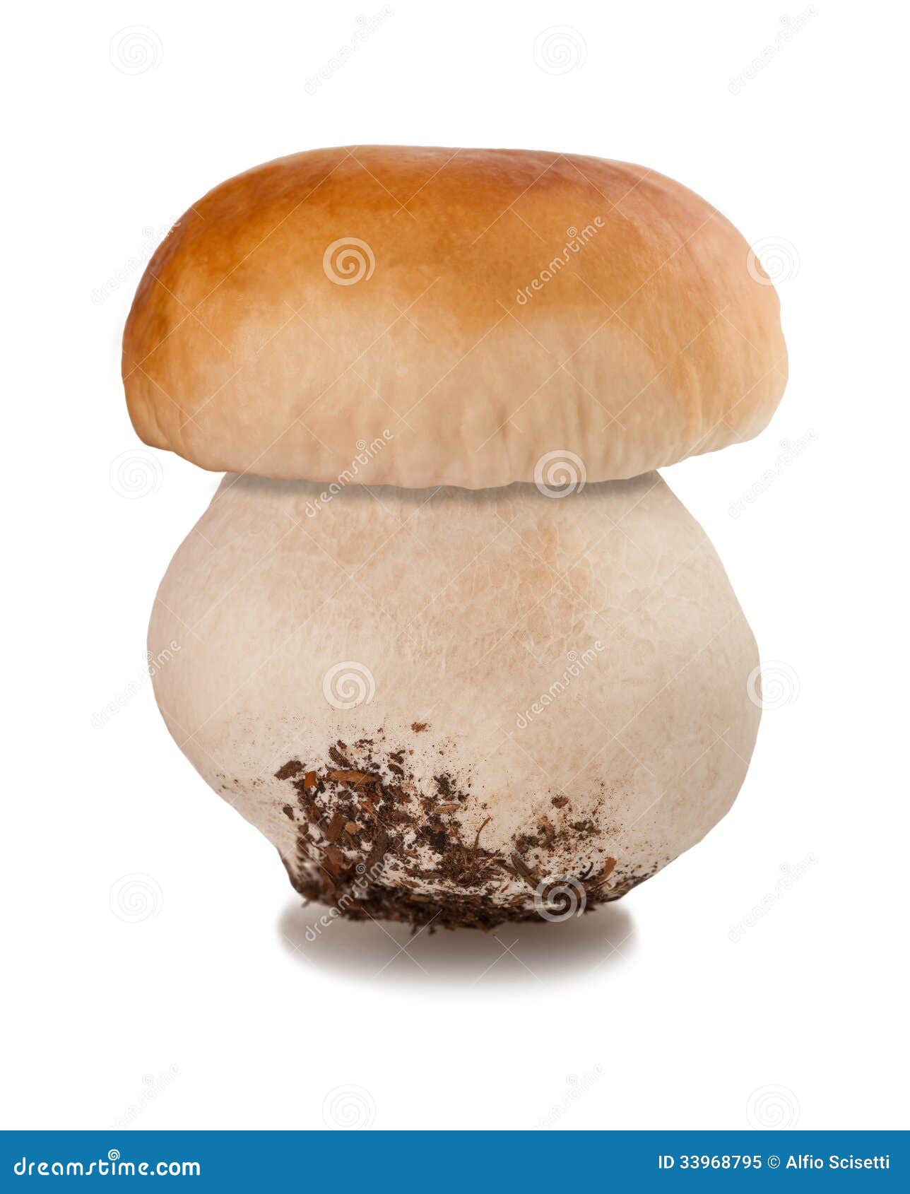Mushroom stock image. Image of cepe, ingredient, mushroom - 33968795