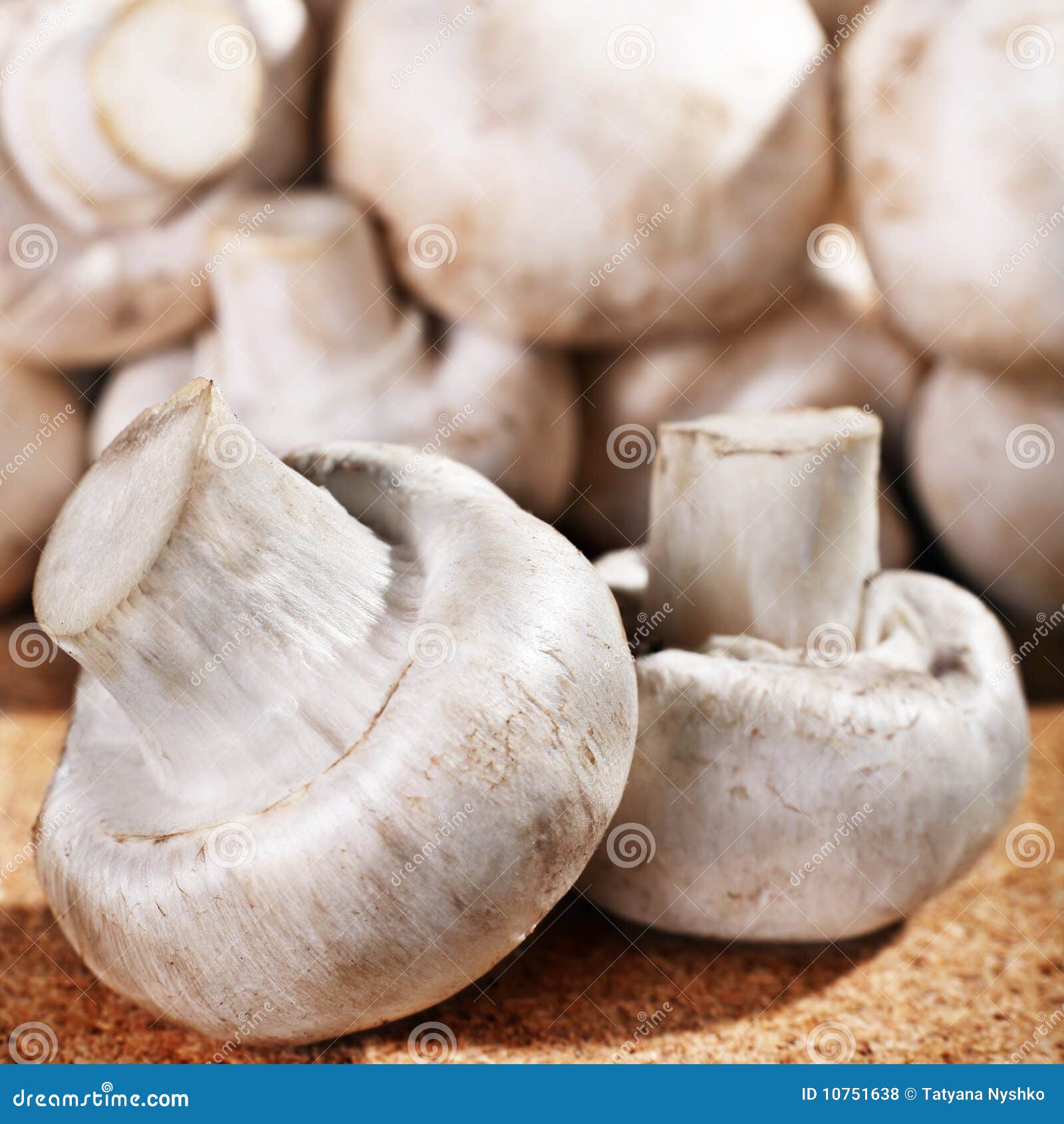 Mushroom champignon stock photo. Image of fresh, closeup - 10751638
