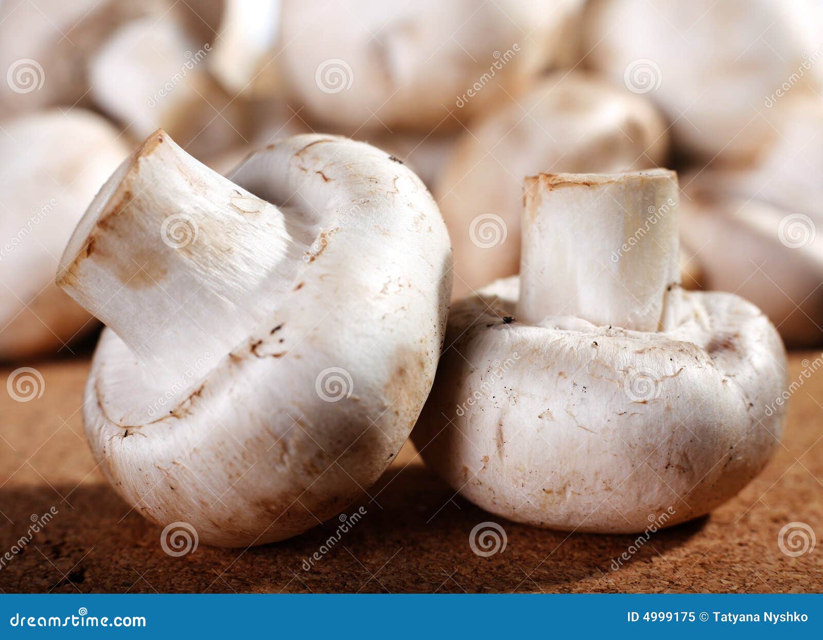 Mushroom champignon stock image. Image of edible, close - 4999175