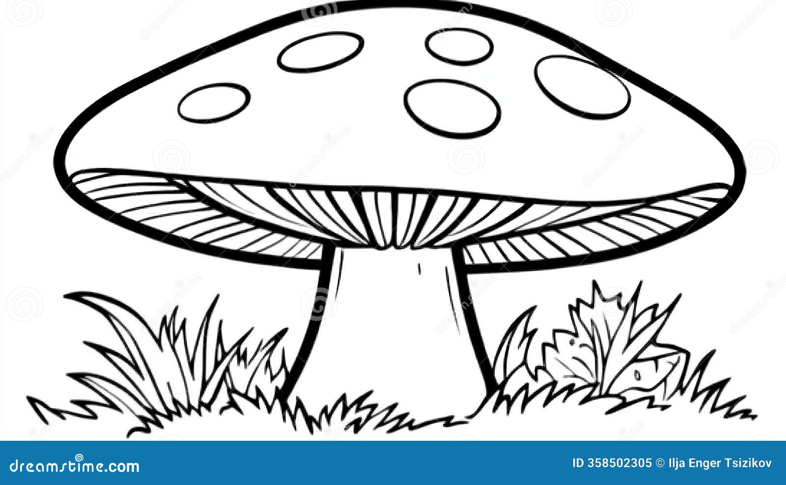 Mushroom Coloring Page, Mushroom Outline Drawing, Adult Coloring Page ...