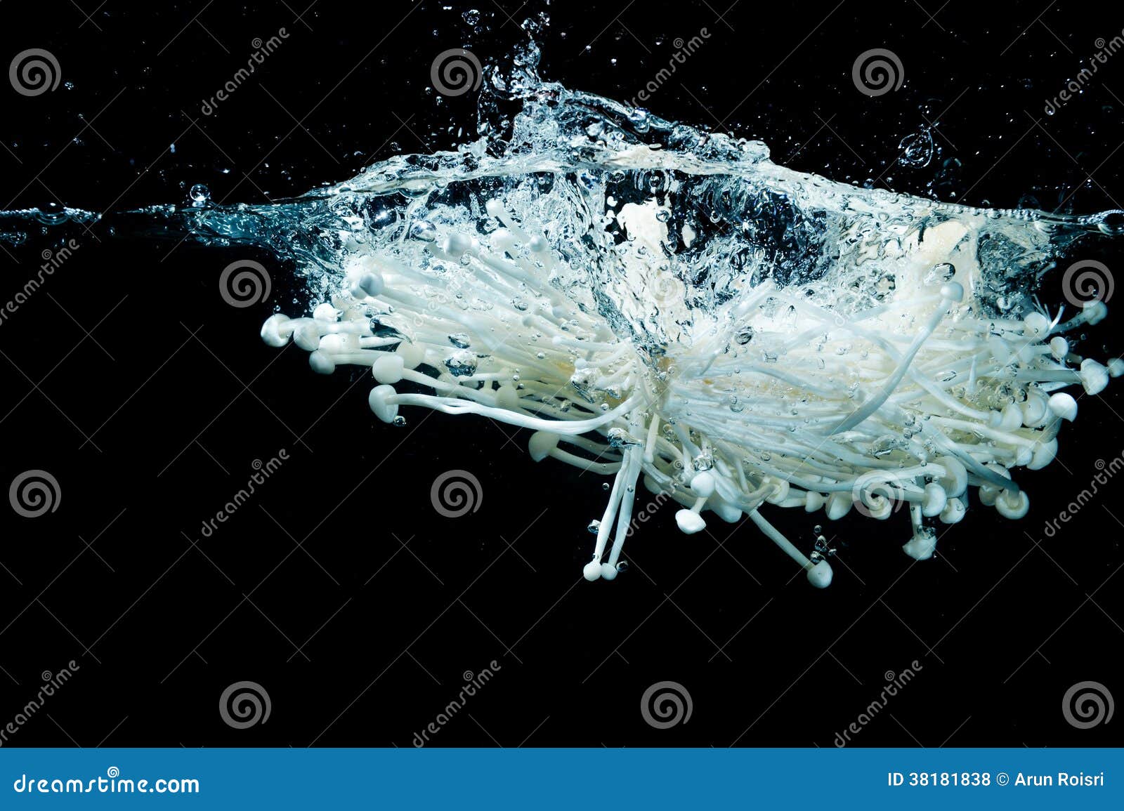 Mushroom Falling into Fresh Water Making Splash Stock Photo - Image of ...